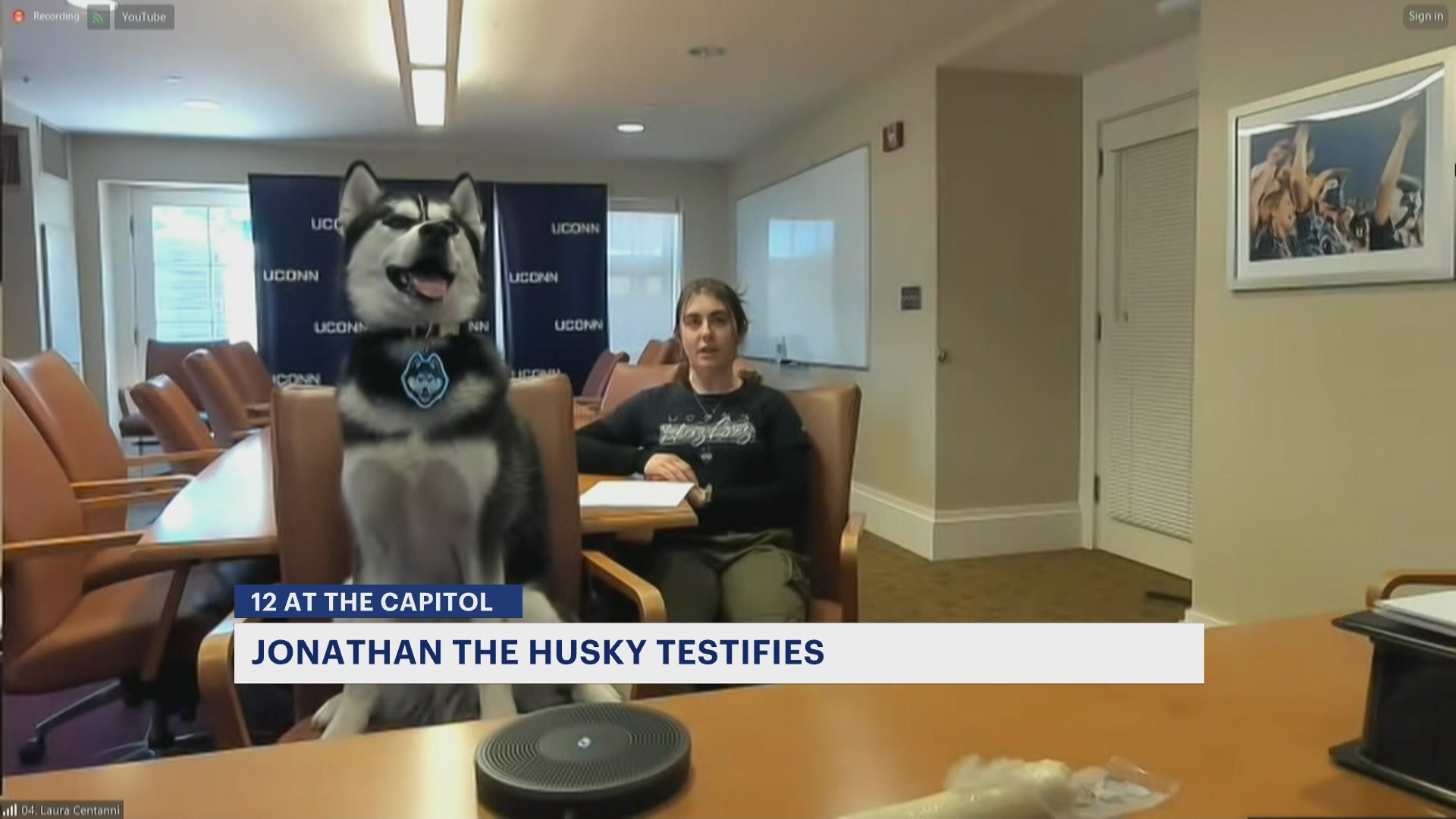 Jonathan the Husky aims to become Connecticut's official state dog