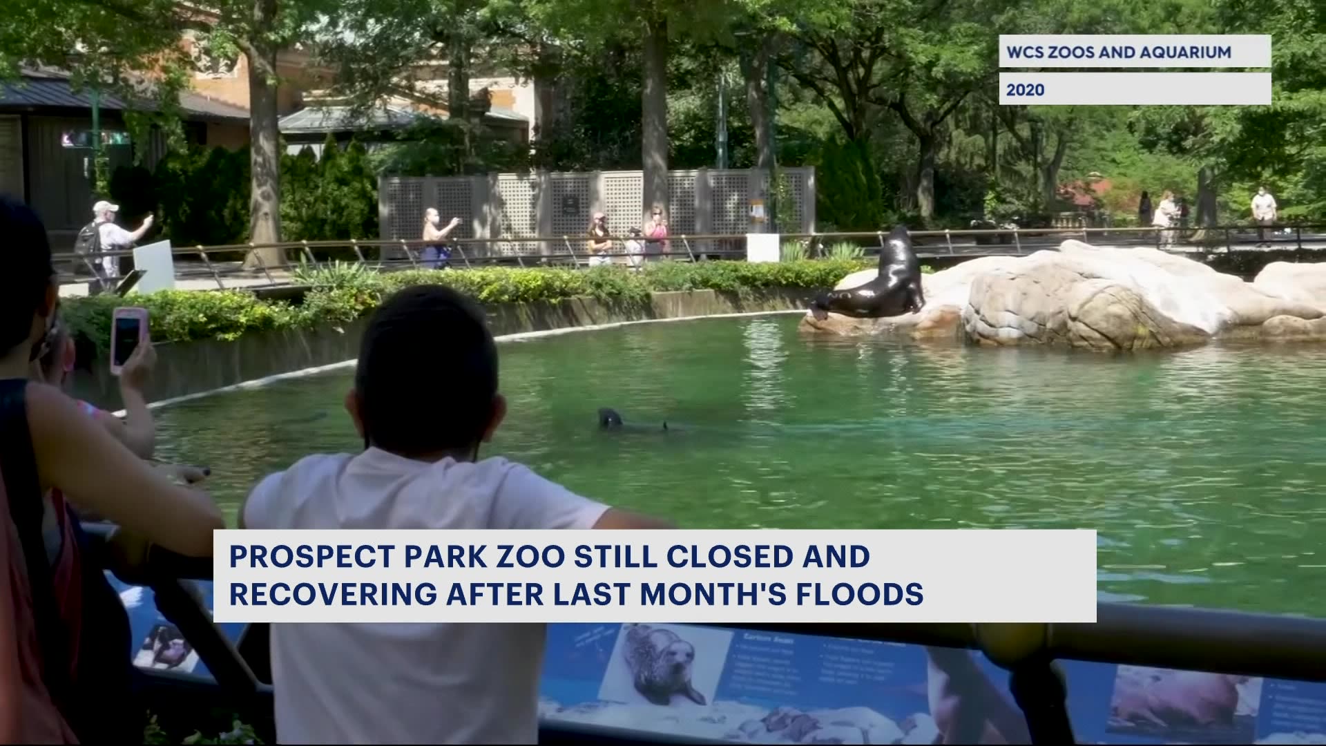 Prospect Park Zoo still on the mend after flooding last month
