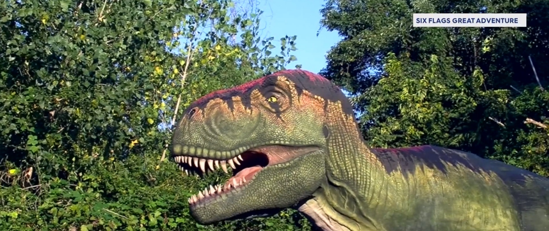 30 life-size dinosaurs coming to Jackson: Six Flags to launch Xpedition ...