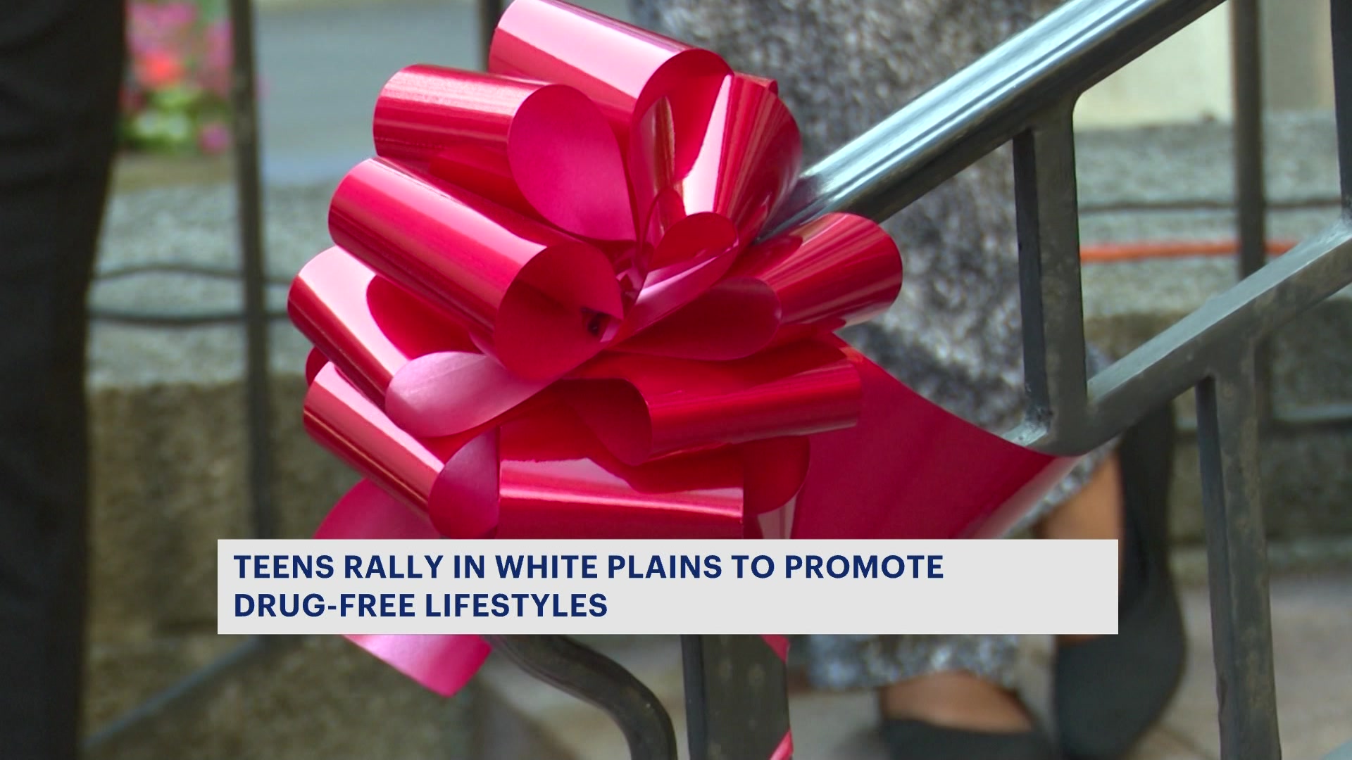Red Ribbon Week rally promotes drug-free lifestyle in White Plains