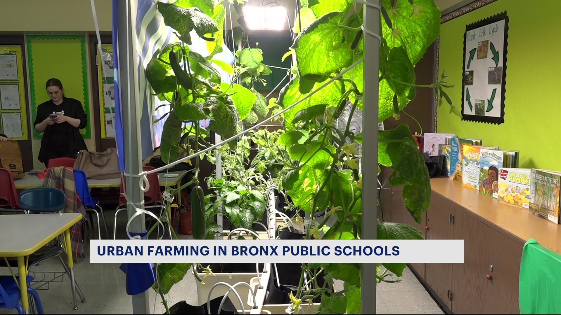 Bronx students celebrate new urban farm lab at school