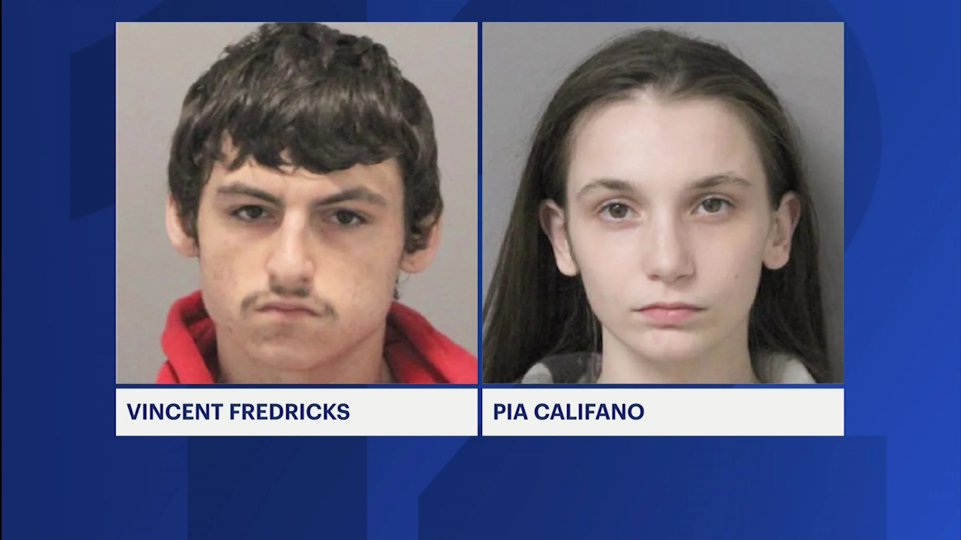 Oceanside man charged in crime spree across Nassau County Oceanside man charged in crime spree across Nassau County