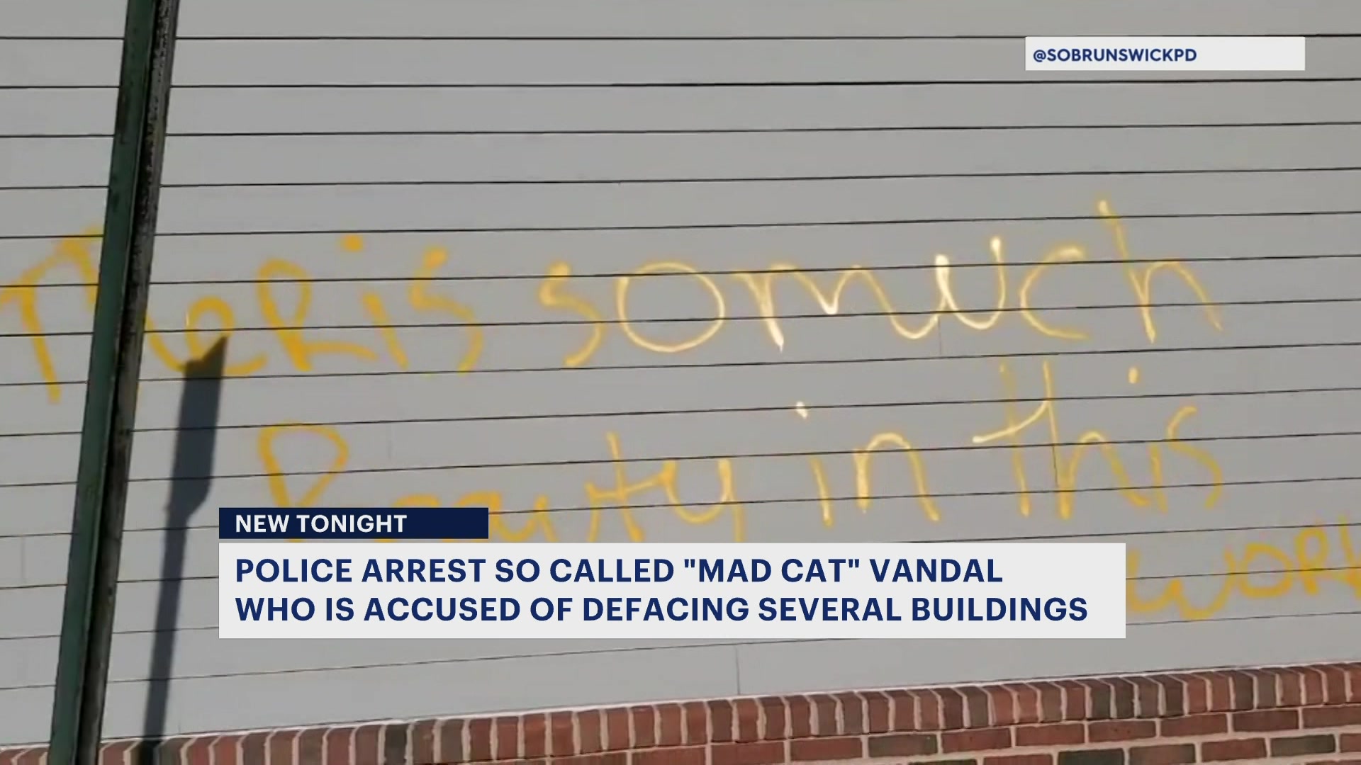 Alleged ‘Mad Cat’ vandal arrested in South Brunswick