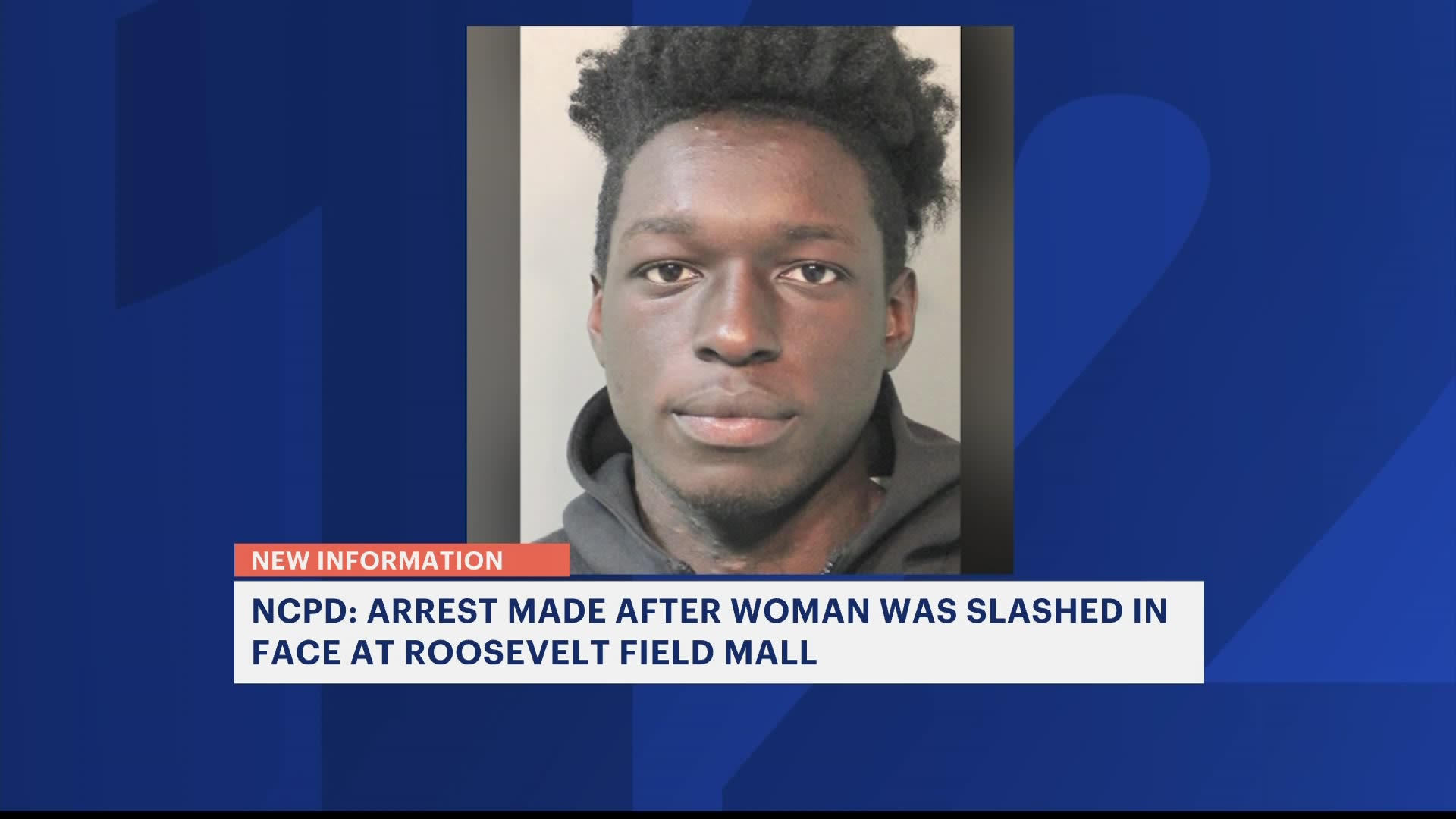Police 18 Year Old Arrested For Slashing Woman At Roosevelt Field Mall