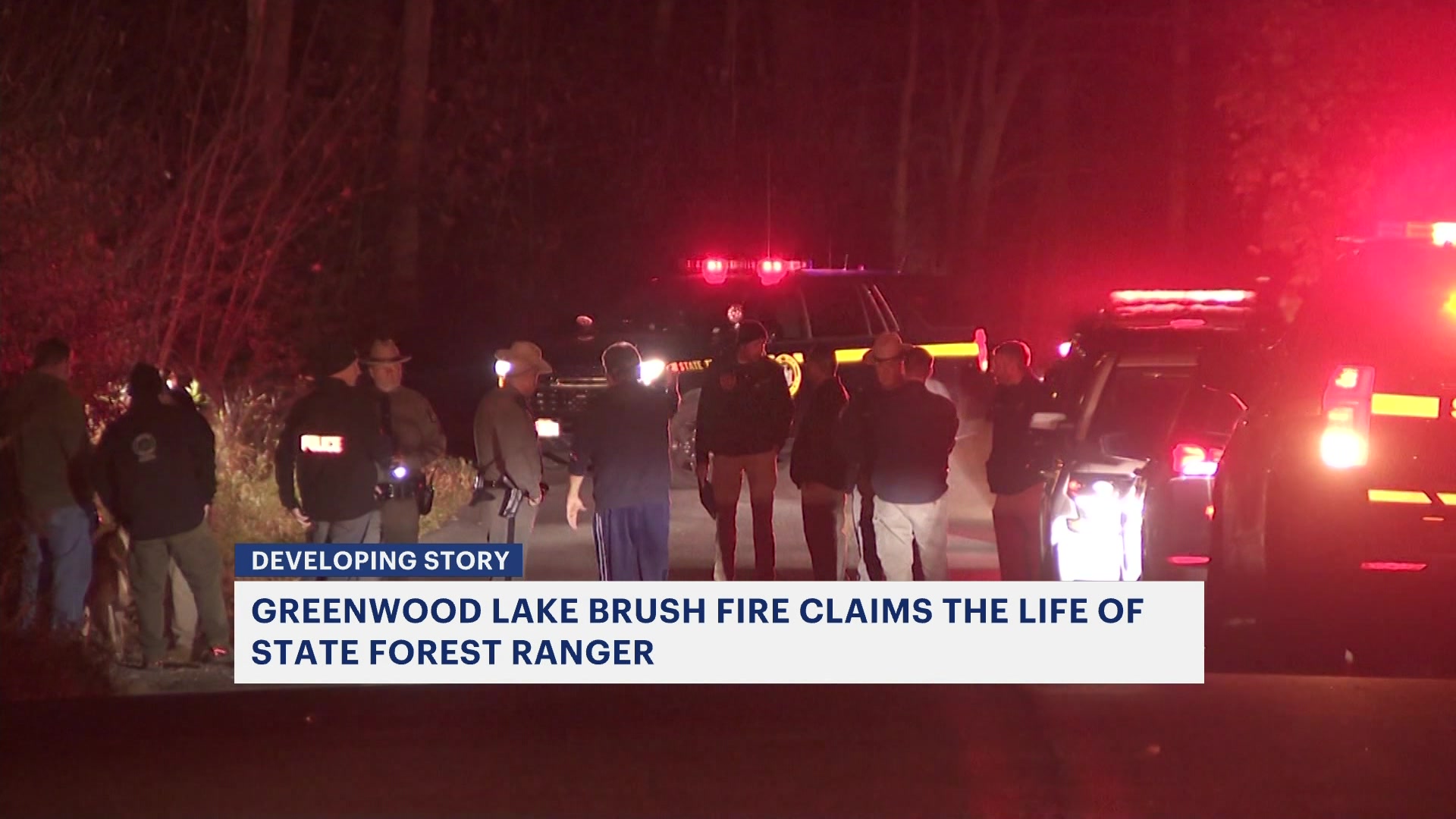 News 12 | Brooklyn | Officials State Forest Ranger Dies While Battling ...