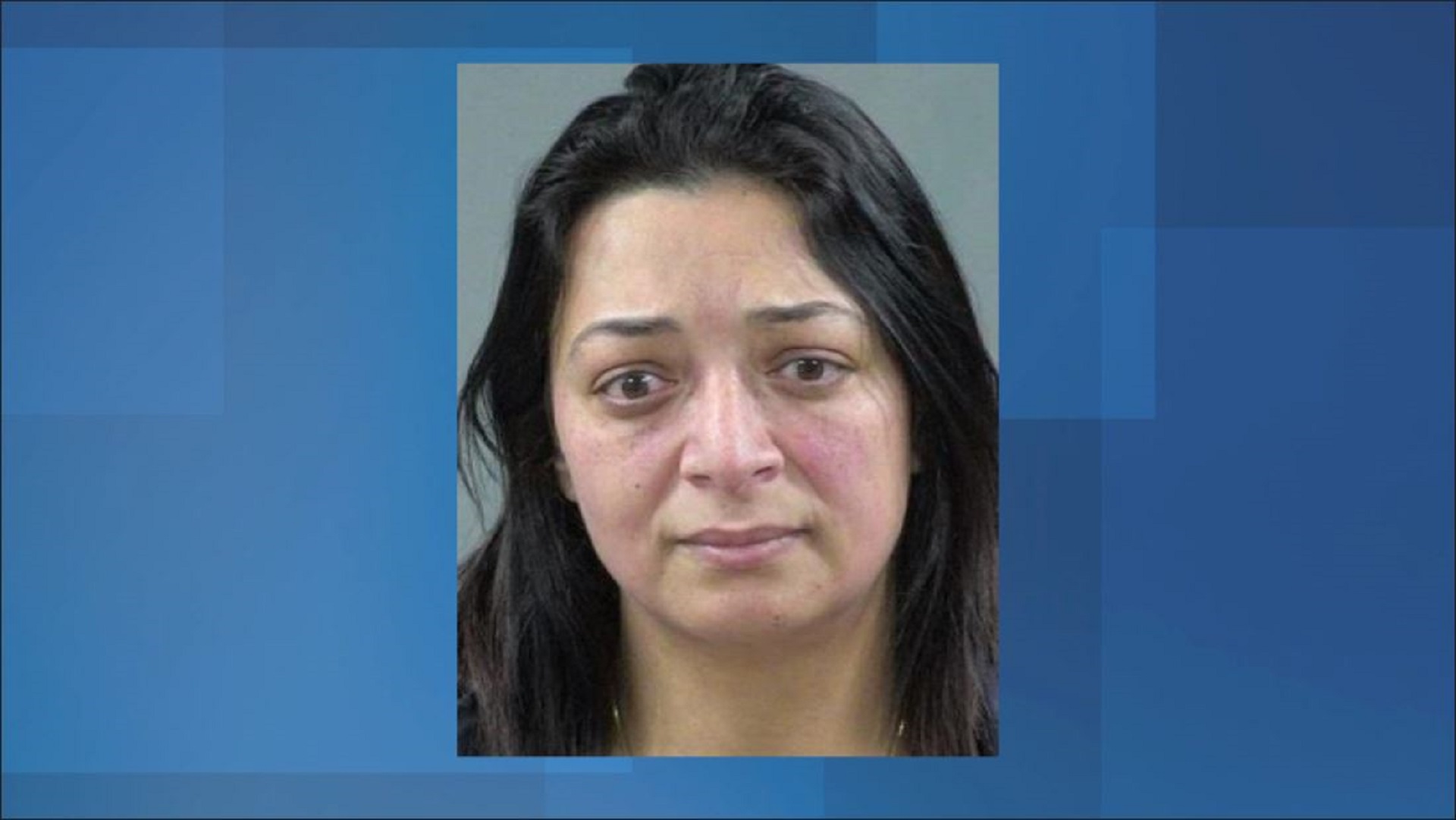 News 12 | Bronx | Police Woman Steals Donations From Toys For Tots Bin ...