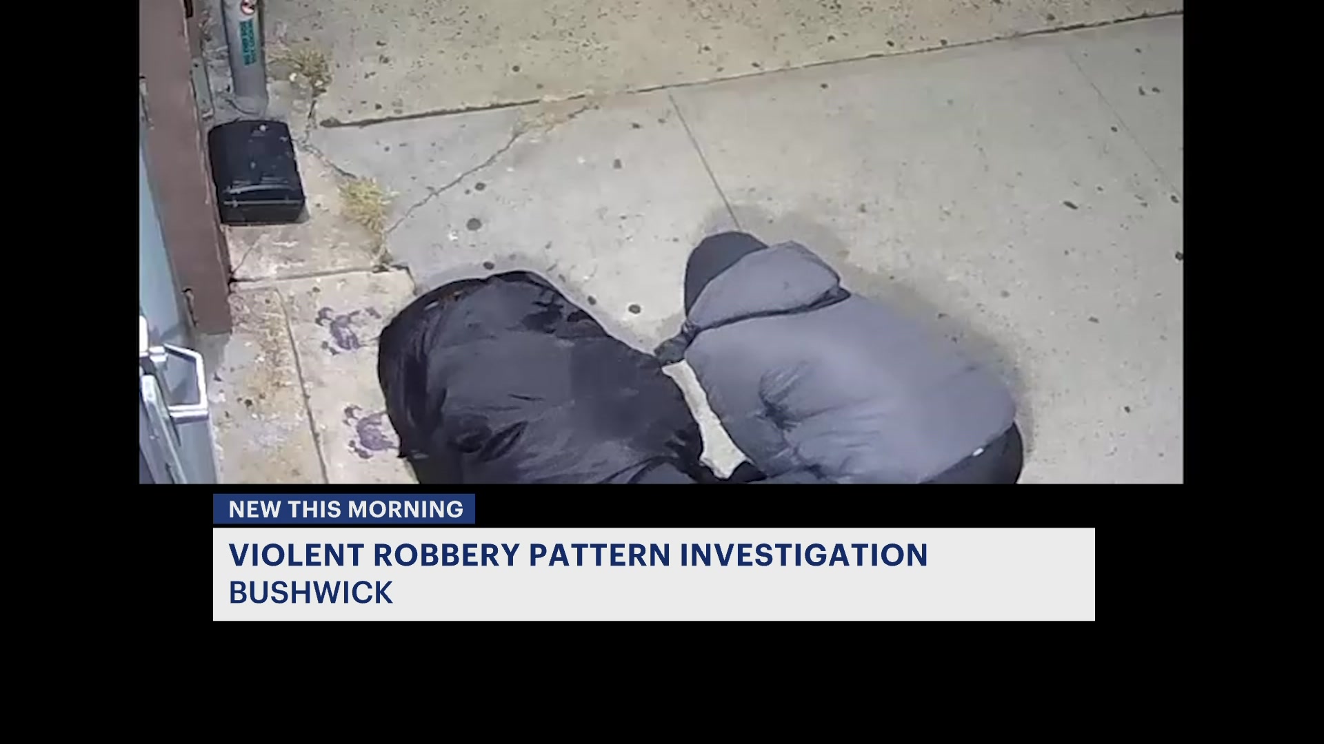 News 12 | The Bronx | NYPD asks for public's help in identifying ...
