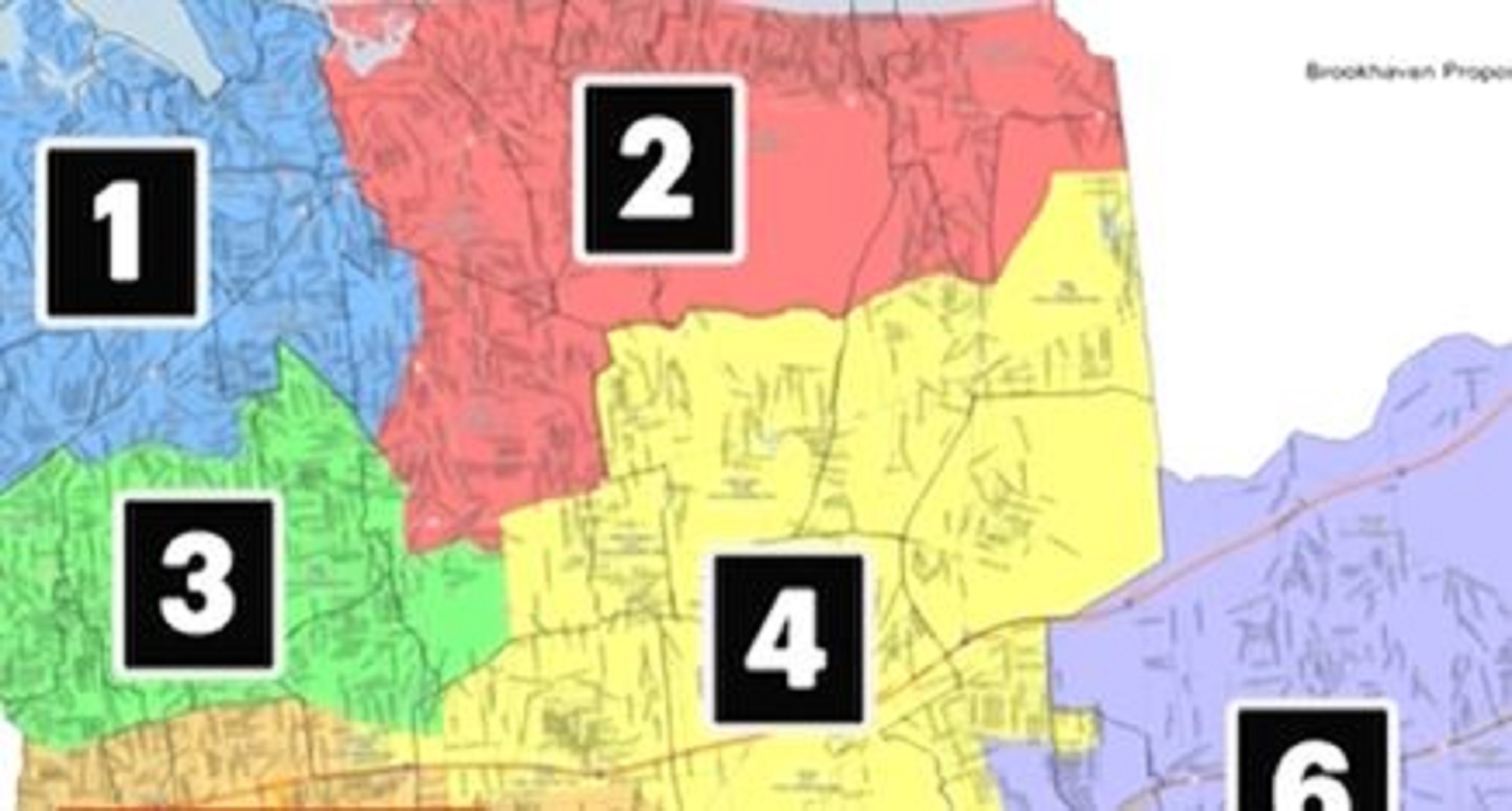 Brookhaven Town Council votes to approve new council districts