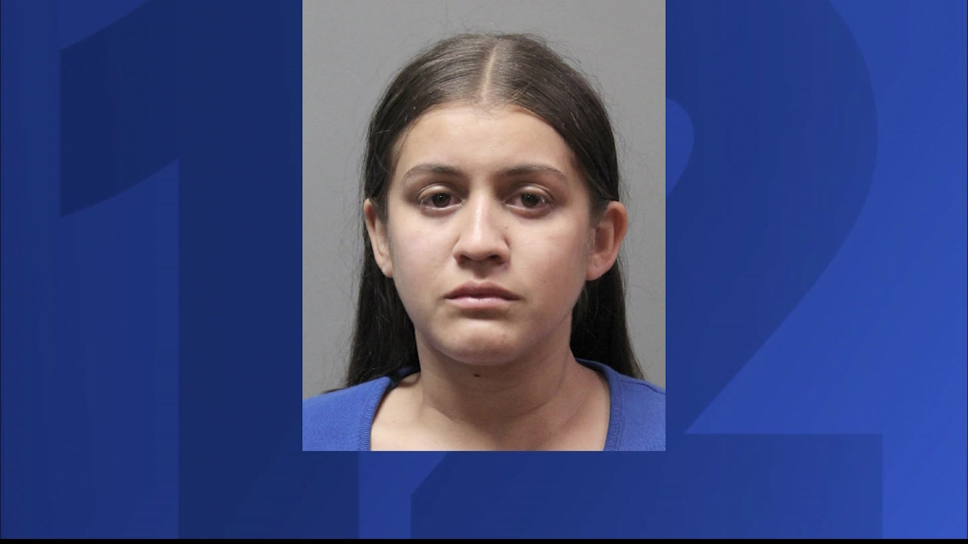 News 12 | Bronx | Brooklyn Woman Accused Of Dwi Crashing Into Police ...