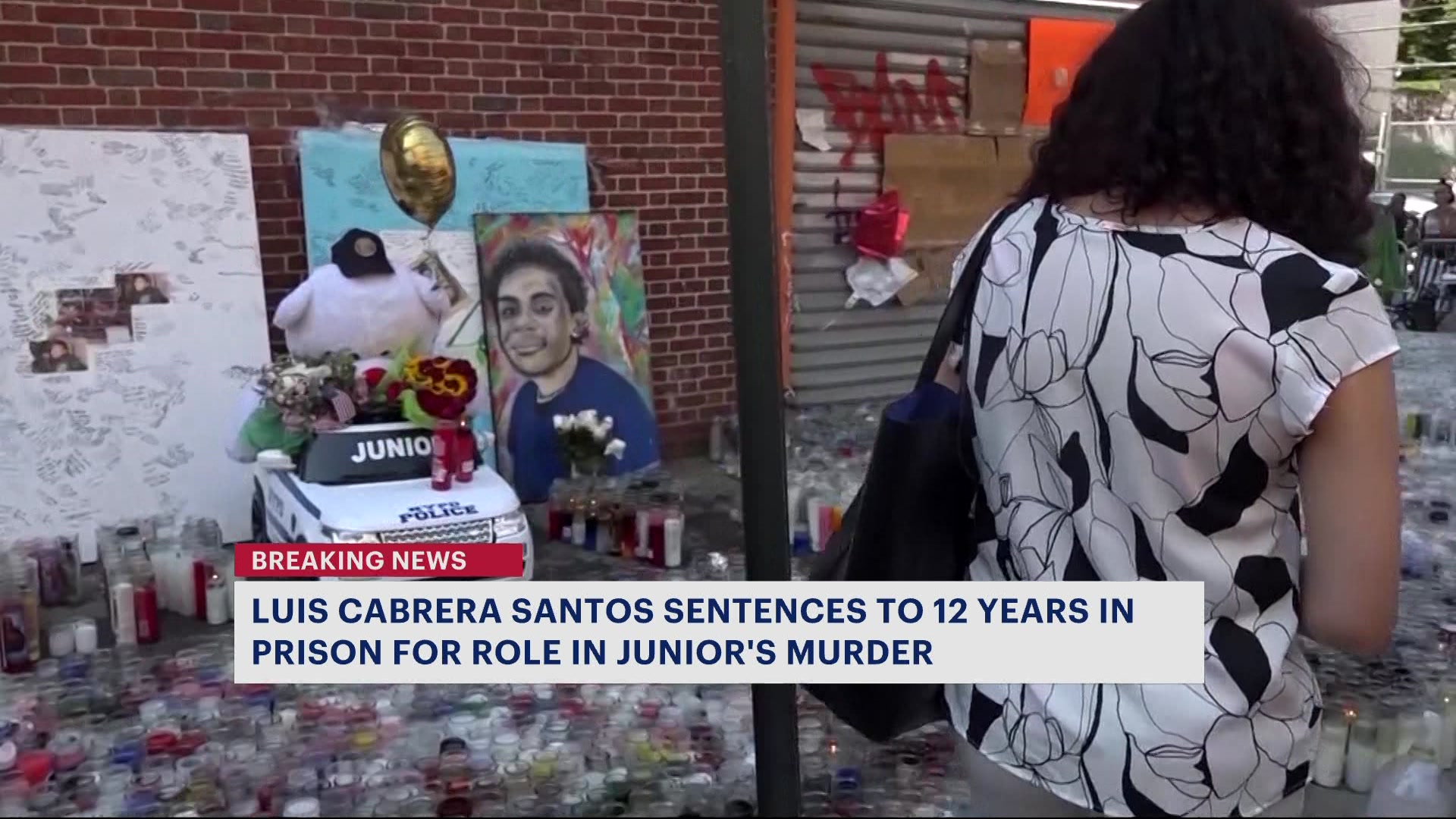 News 12 | New Jersey | Suspect In Death Of Junior Feliz Sentenced To 12 ...