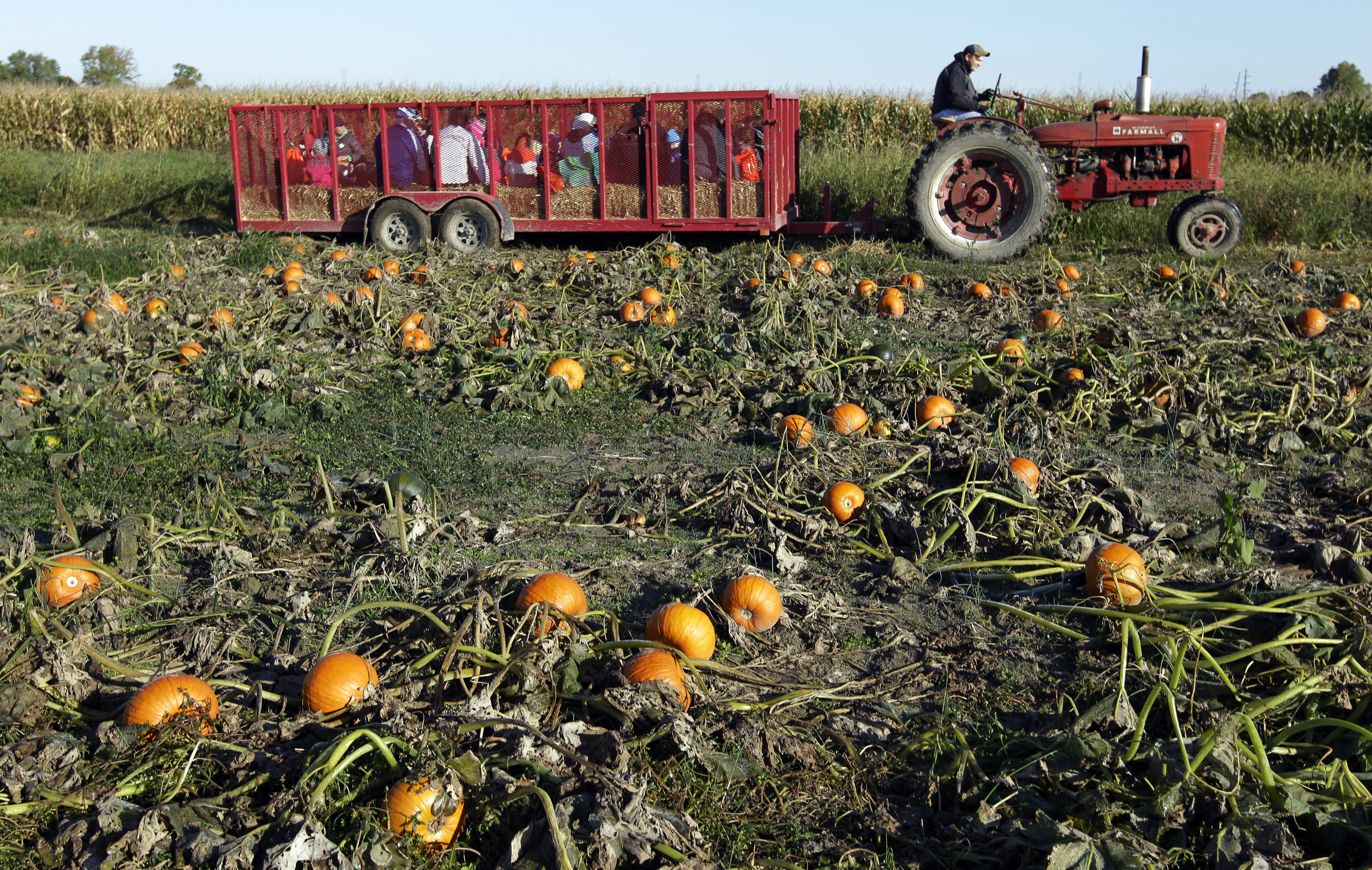 News 12 | New Jersey | 10 Fall Fun Activities For The Whole Family