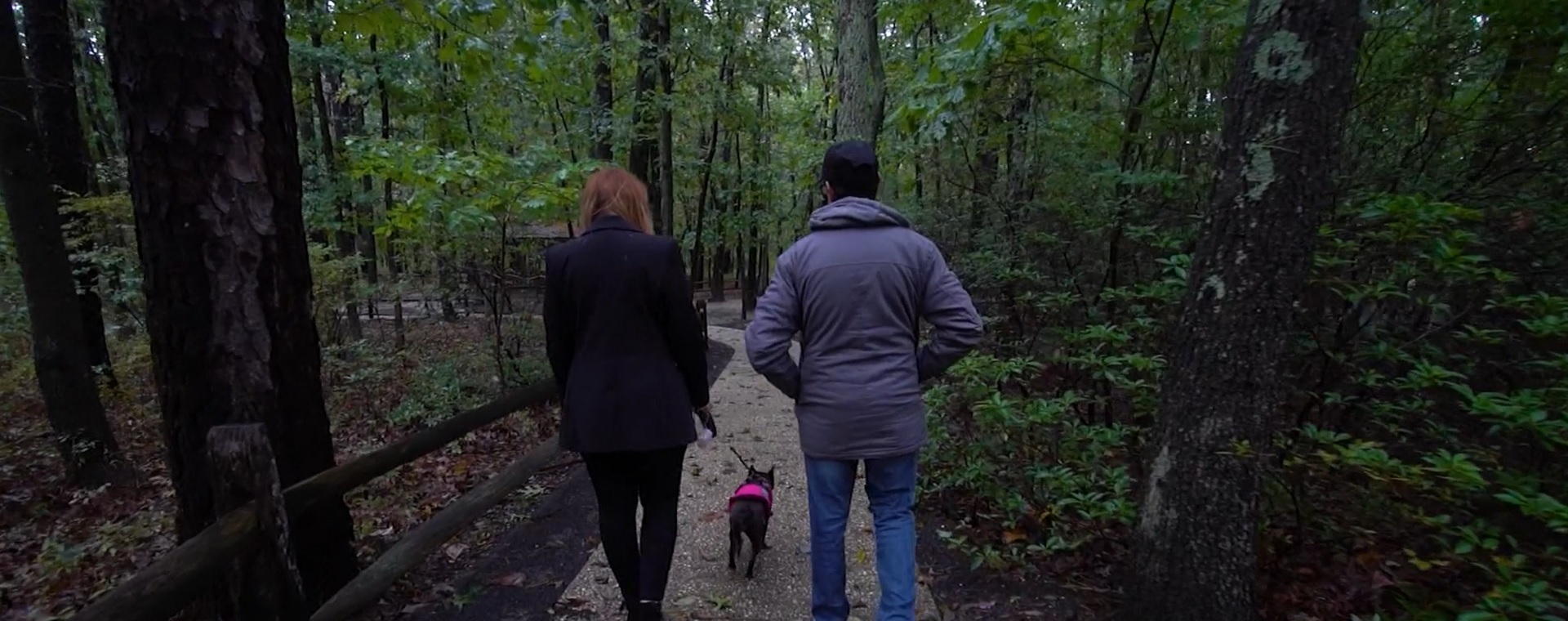Raising awareness with the help of your dog: Learn about the 30-mile ...