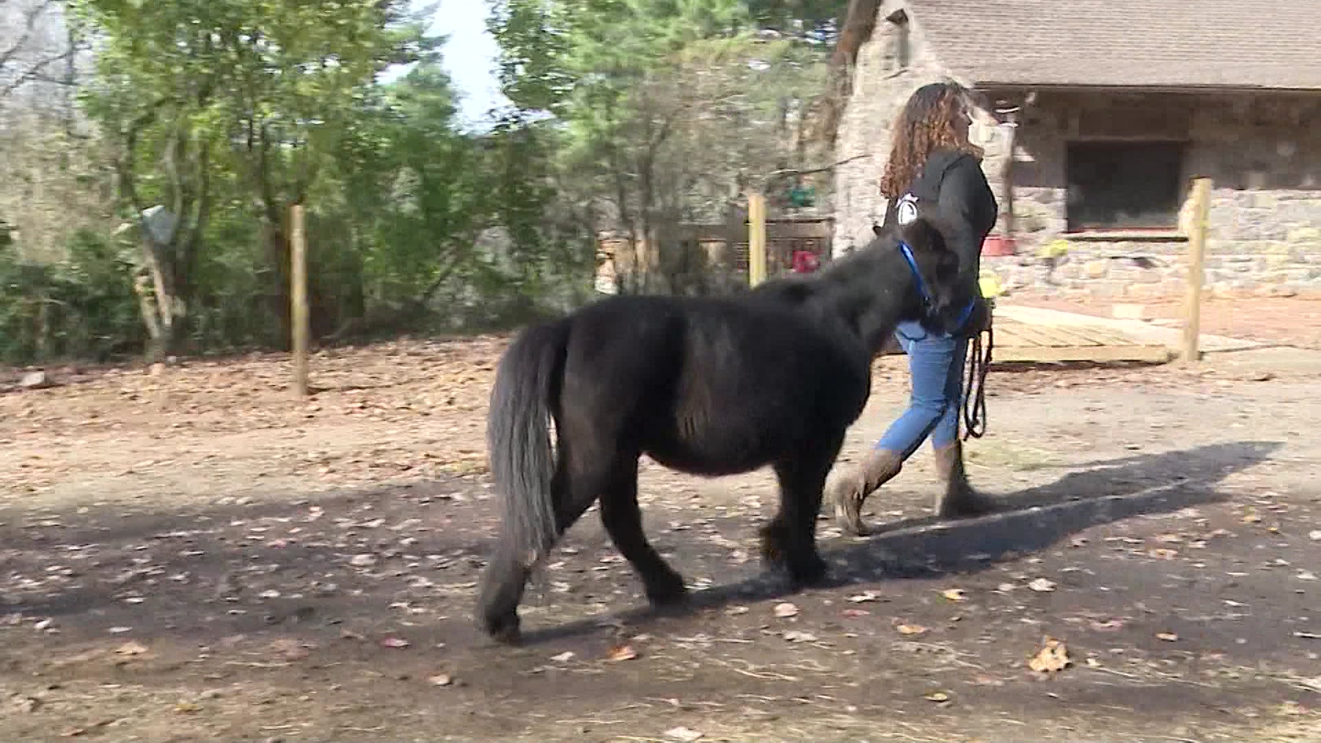 News 12 | New Jersey | Morris County Couple S Horse Farm Dreams Marred ...