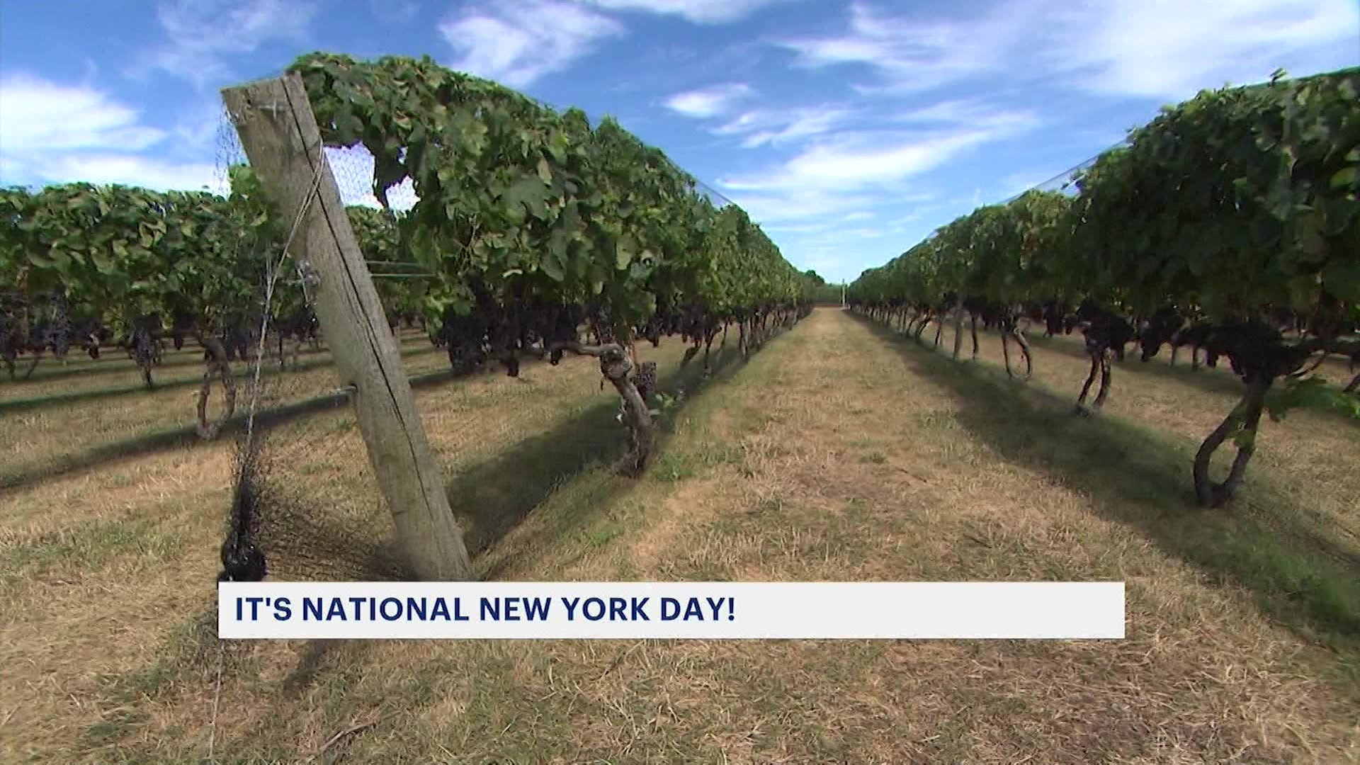 Let’s celebrate! It’s National New York Day