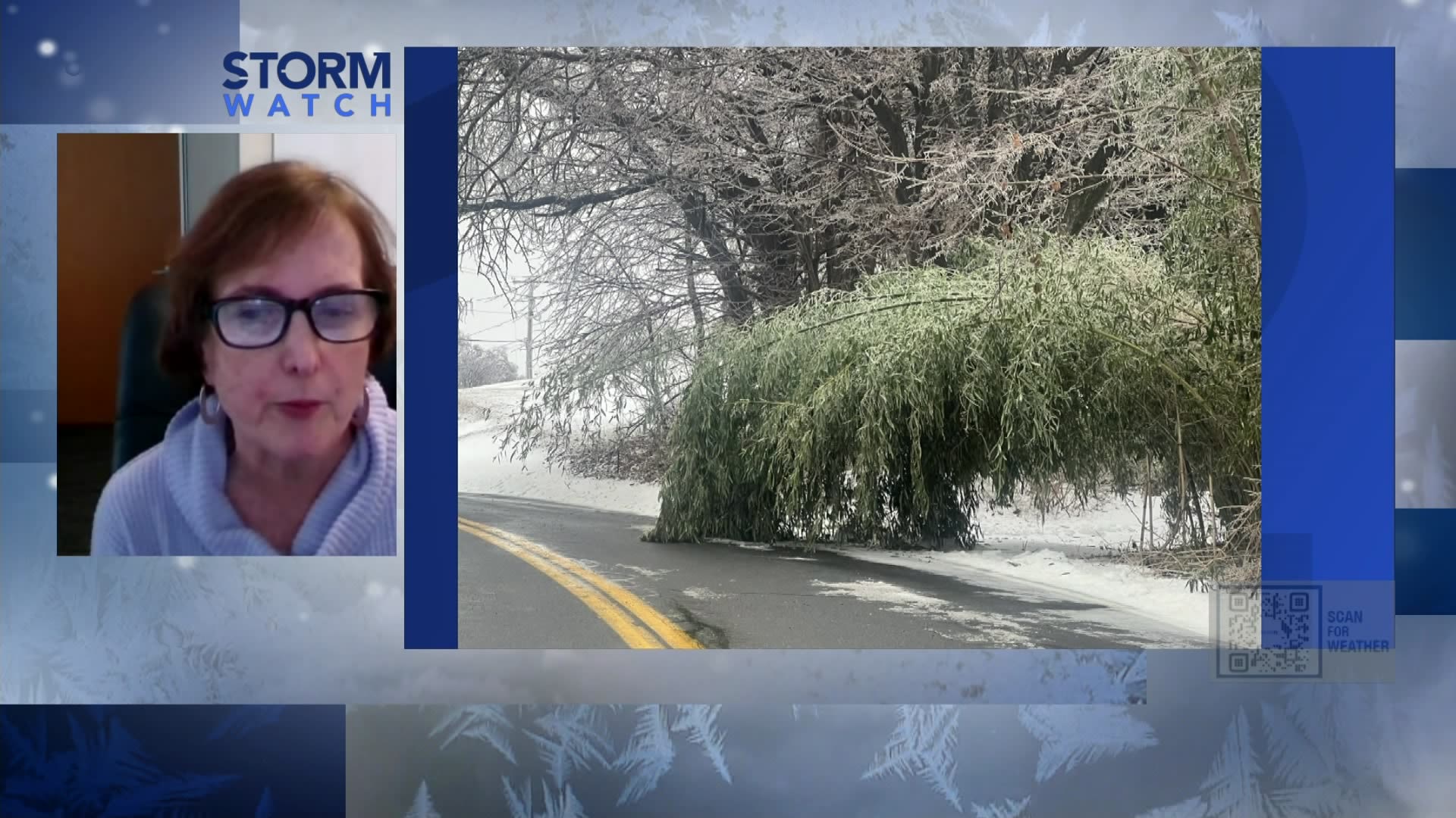 ON ZOOM: Metro North President Catherine Rinaldi