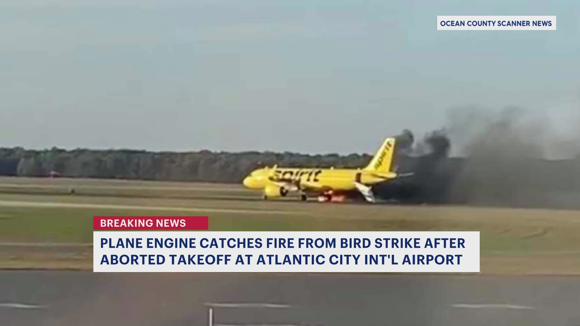 FAA: Plane engine catches fire from bird strike after aborted takeoff ...