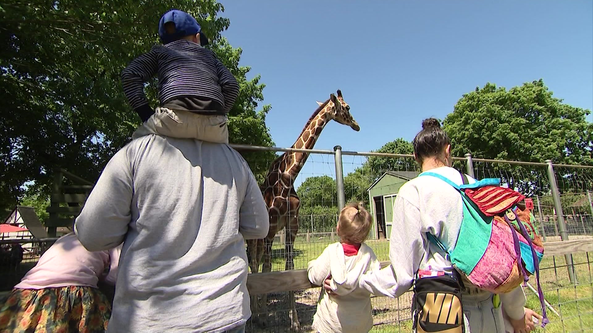 News 12 | Long Island | Long Island Game Farm Responds To Usda Report ...