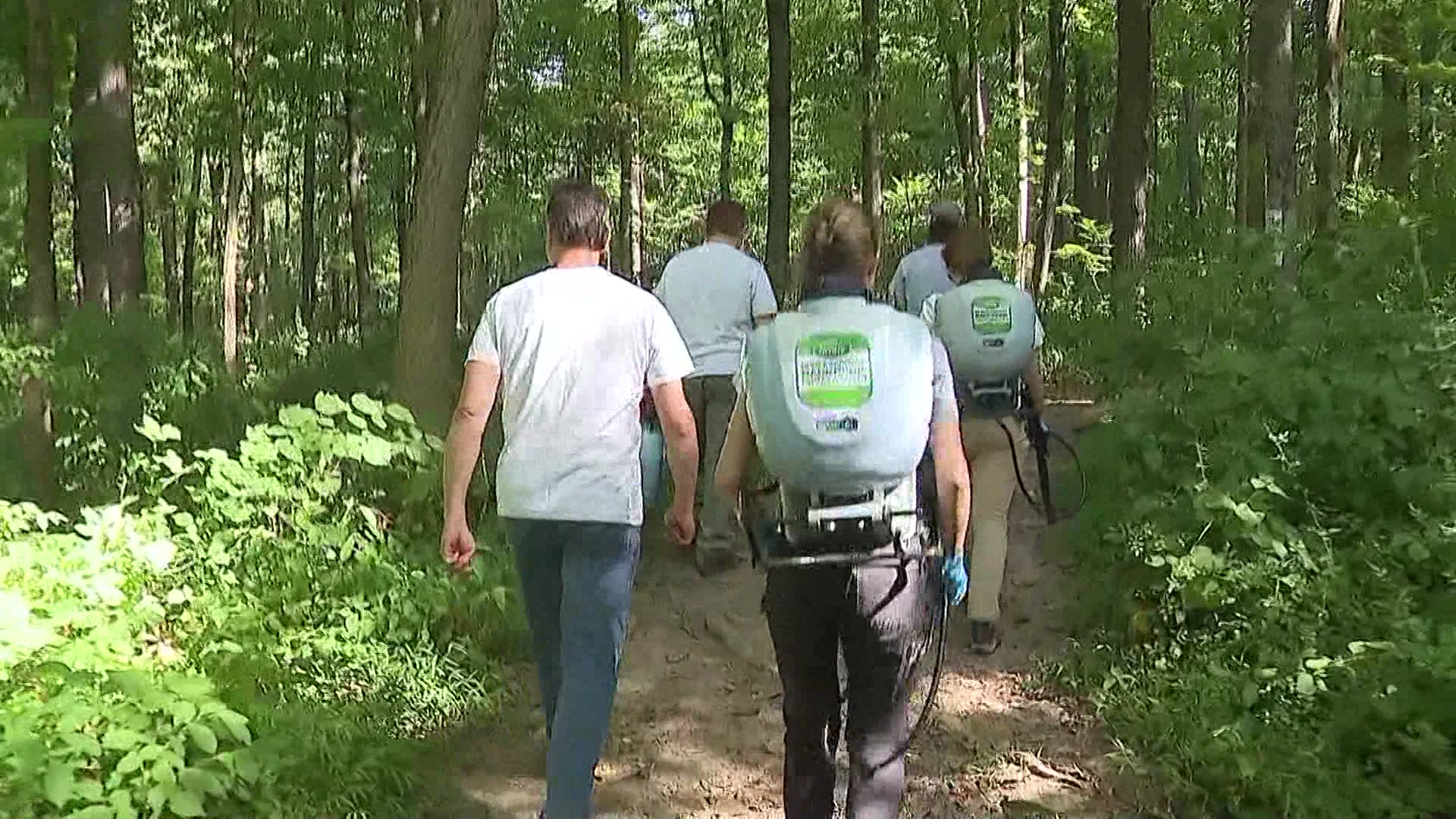 Volunteers with the Invasive Species Strike Team target New Jersey’s ...