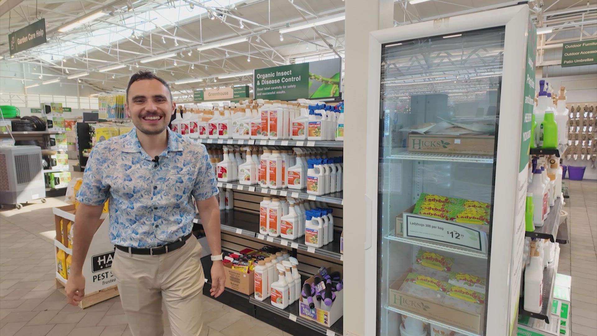 5 beneficial bugs for your garden