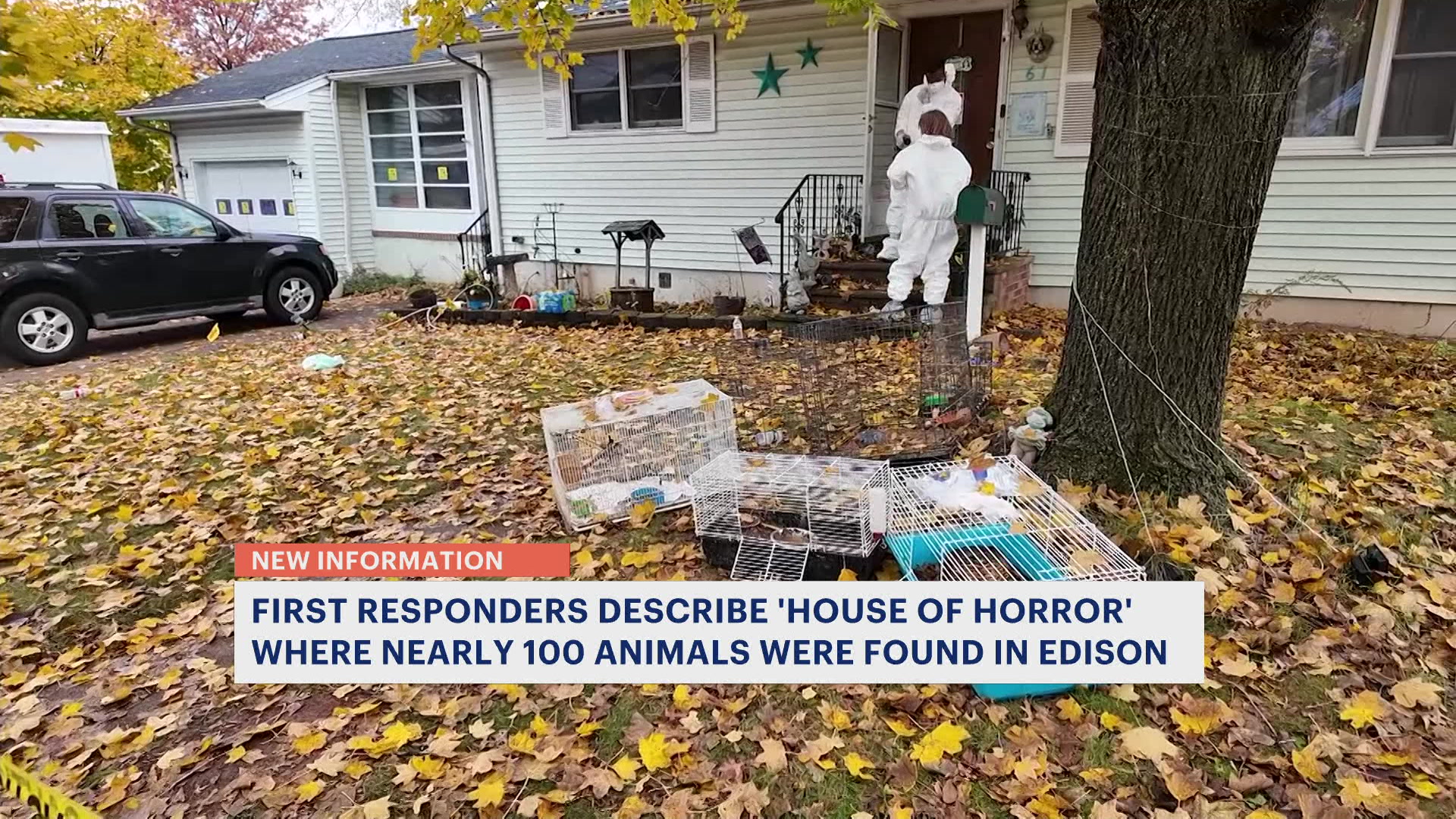 Dozens of animals found in horrific conditions at Edison home