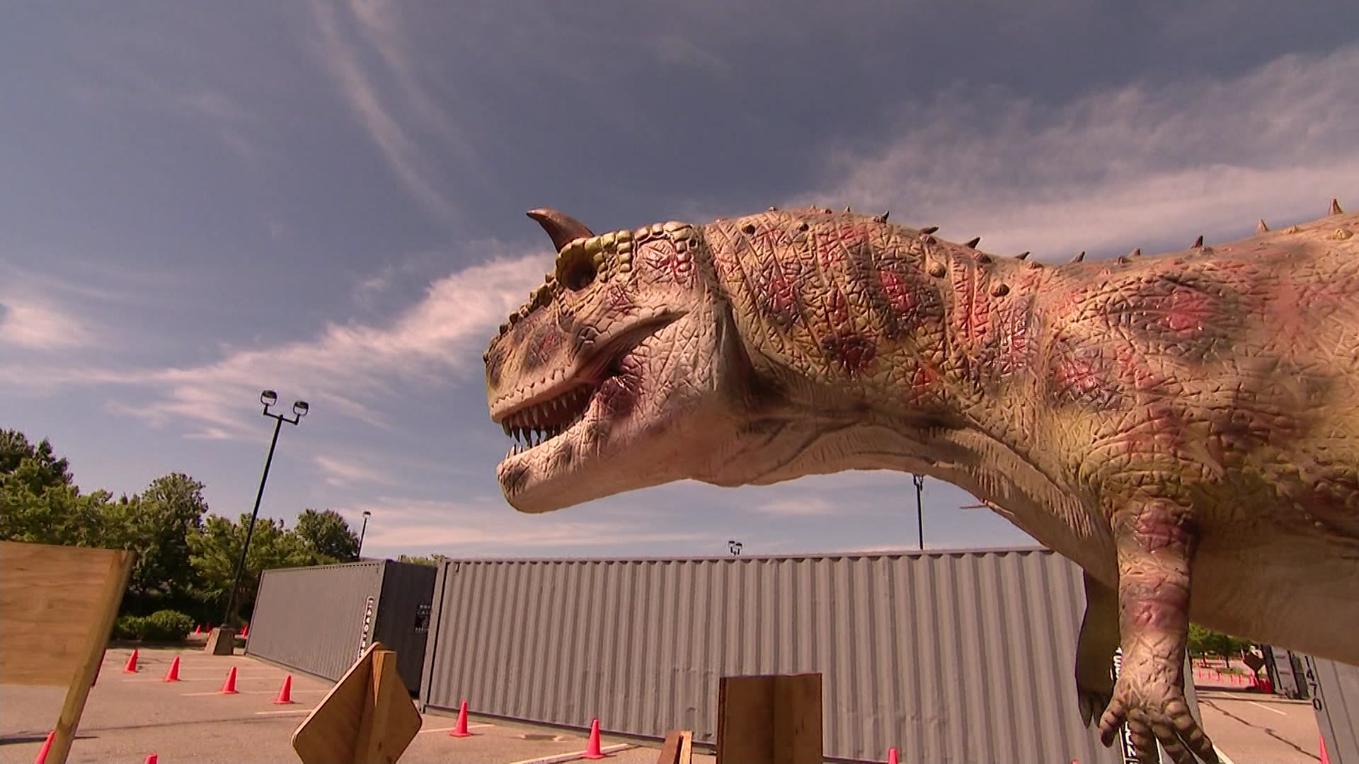 News 12 | Long Island | Buckle up for a drive-thru dinosaur adventure ...