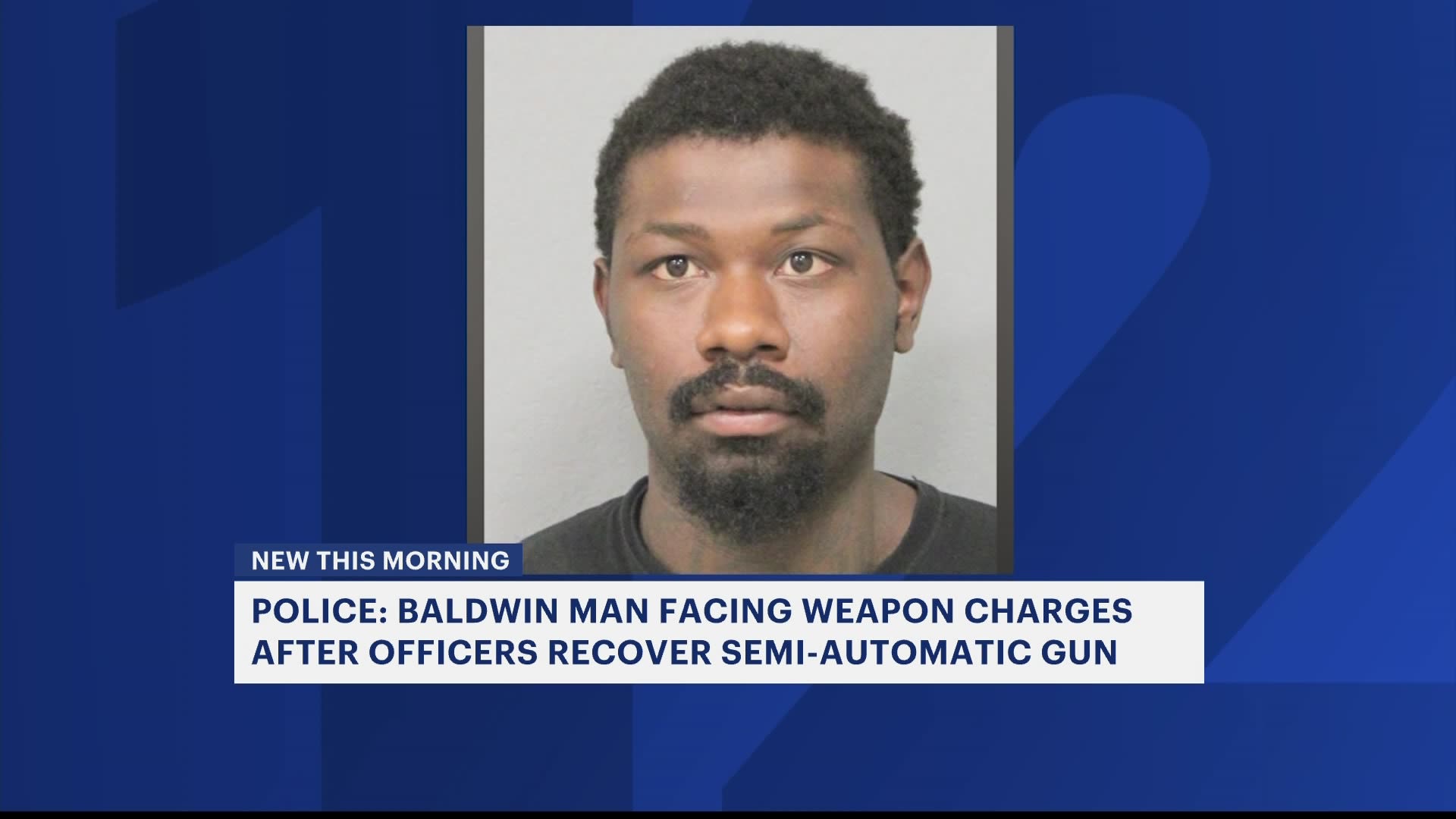 Police Baldwin Man Facing Weapon Charges After Officers Recover Semi