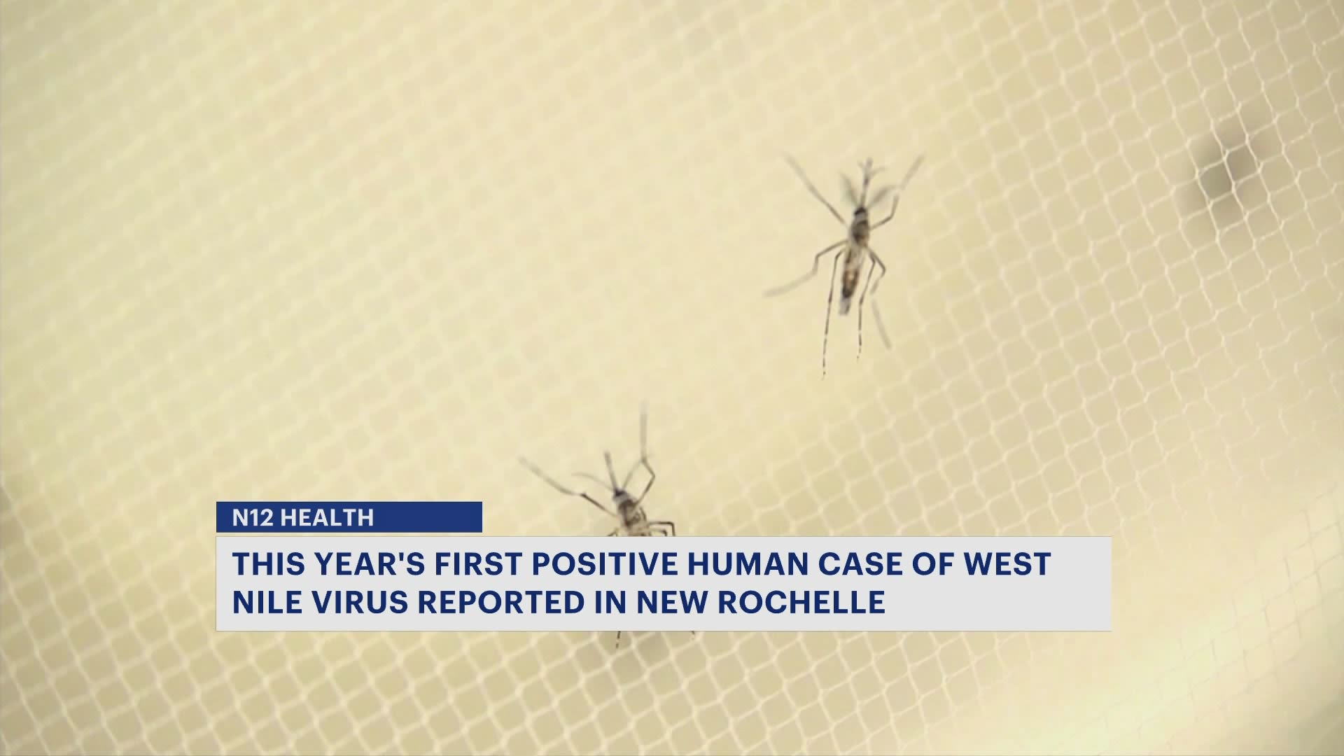 Westchester Health Department: New Rochelle resident confirmed as 2023 ...