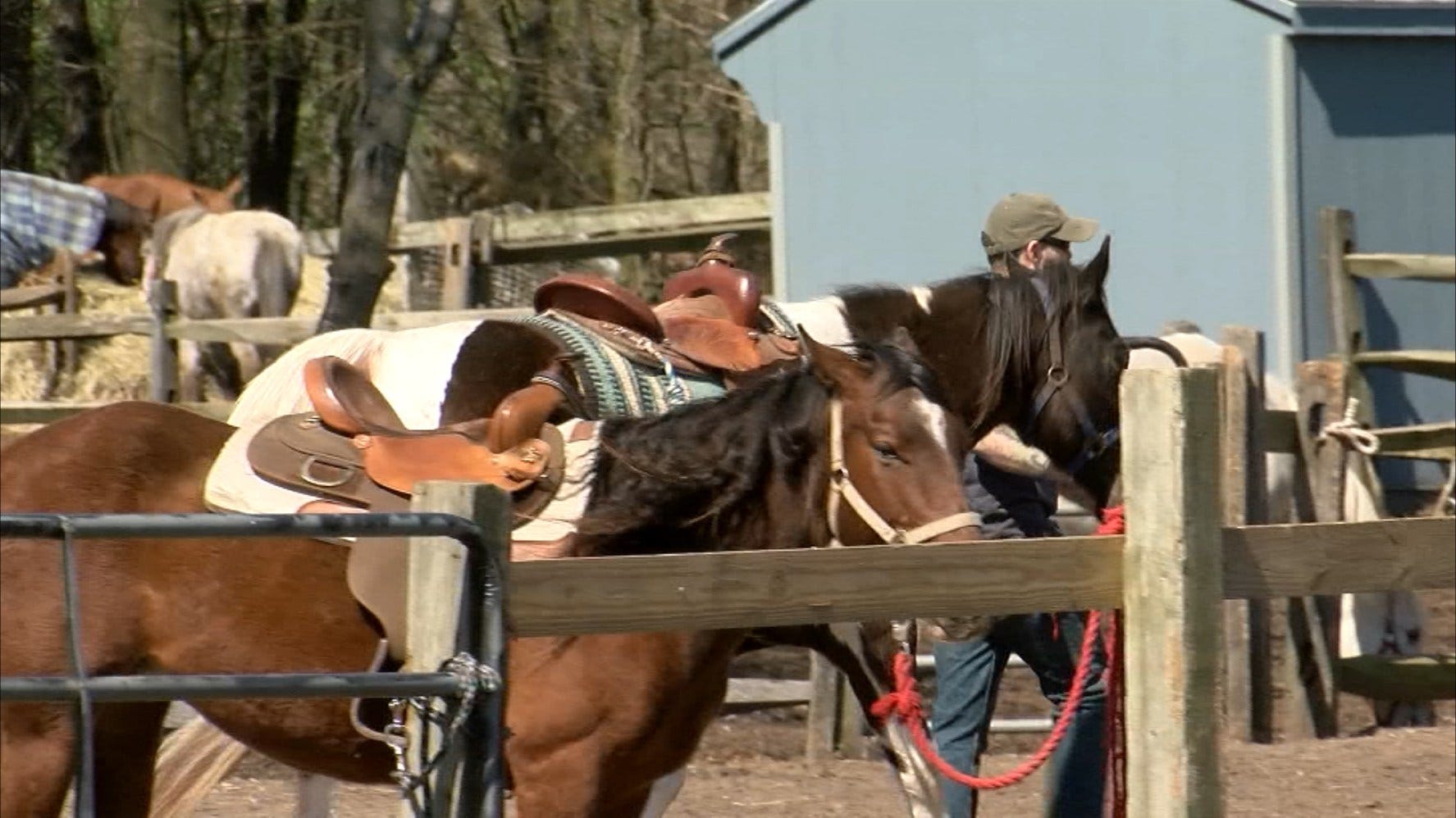 Video: Legacy Riding Stables in Sayreville
