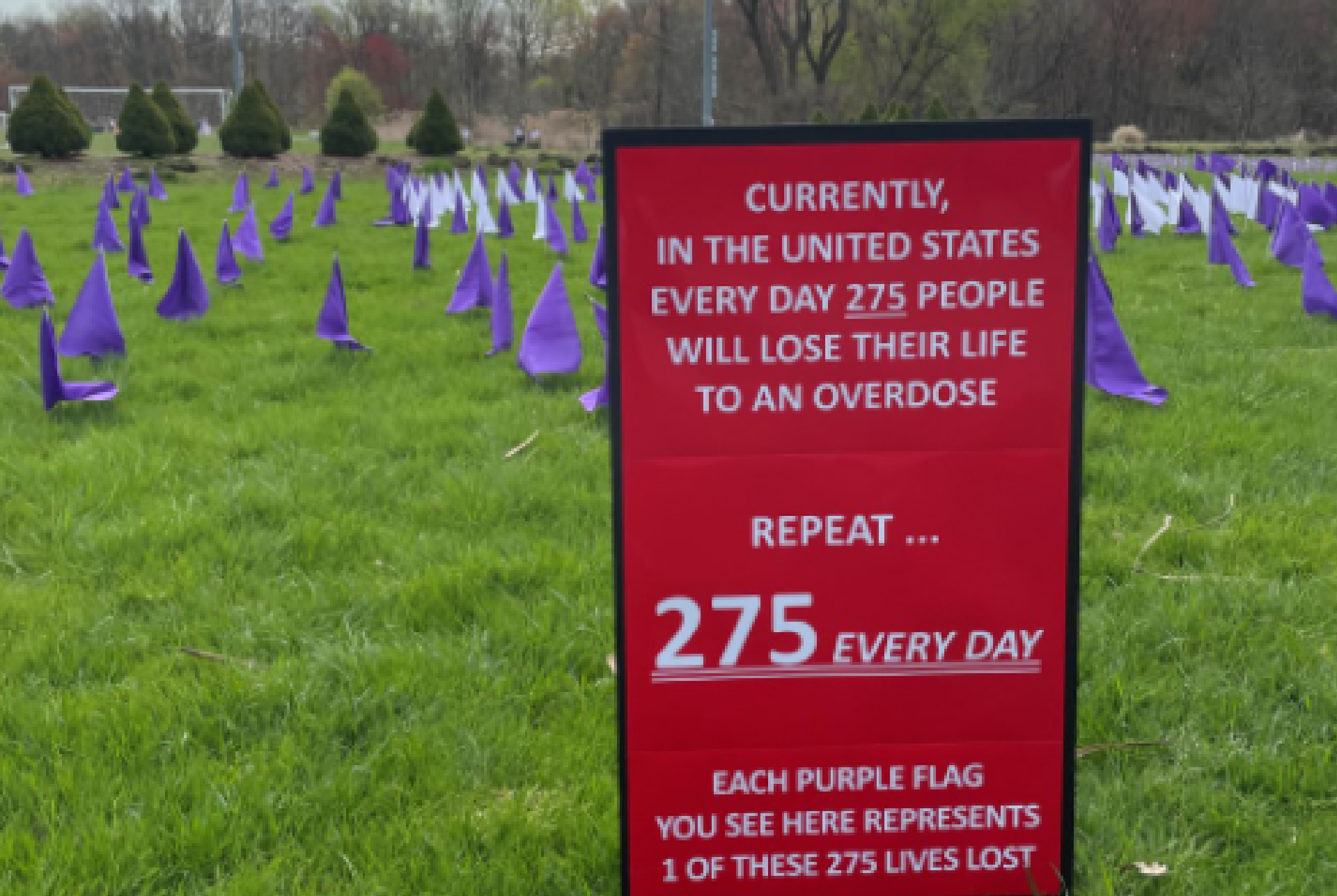 News 12 | Long Island | A Walk To Remember Raises Addiction Awareness ...