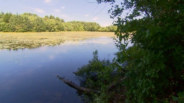 What’s in the Water: Decades of development, industry take toll