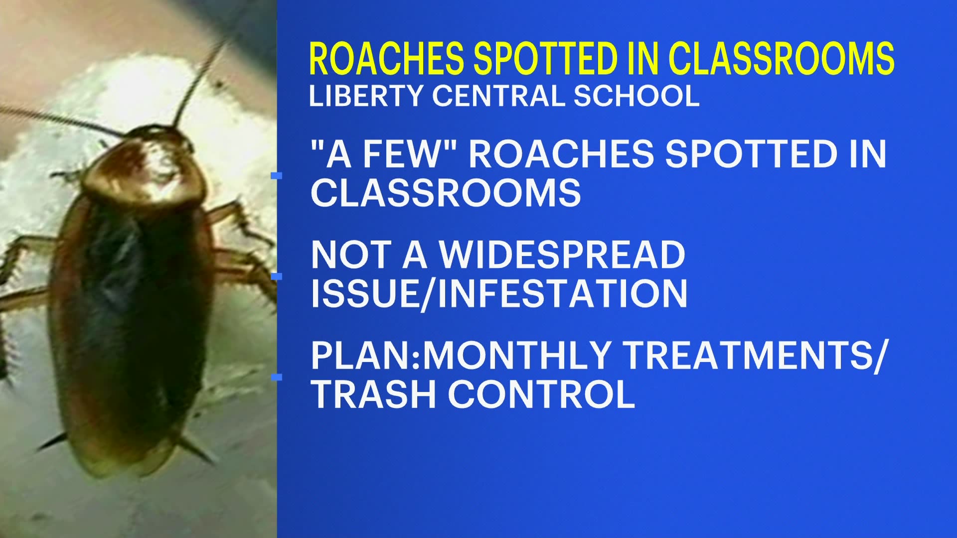 Liberty school district taking steps to address cockroaches sighted in ...