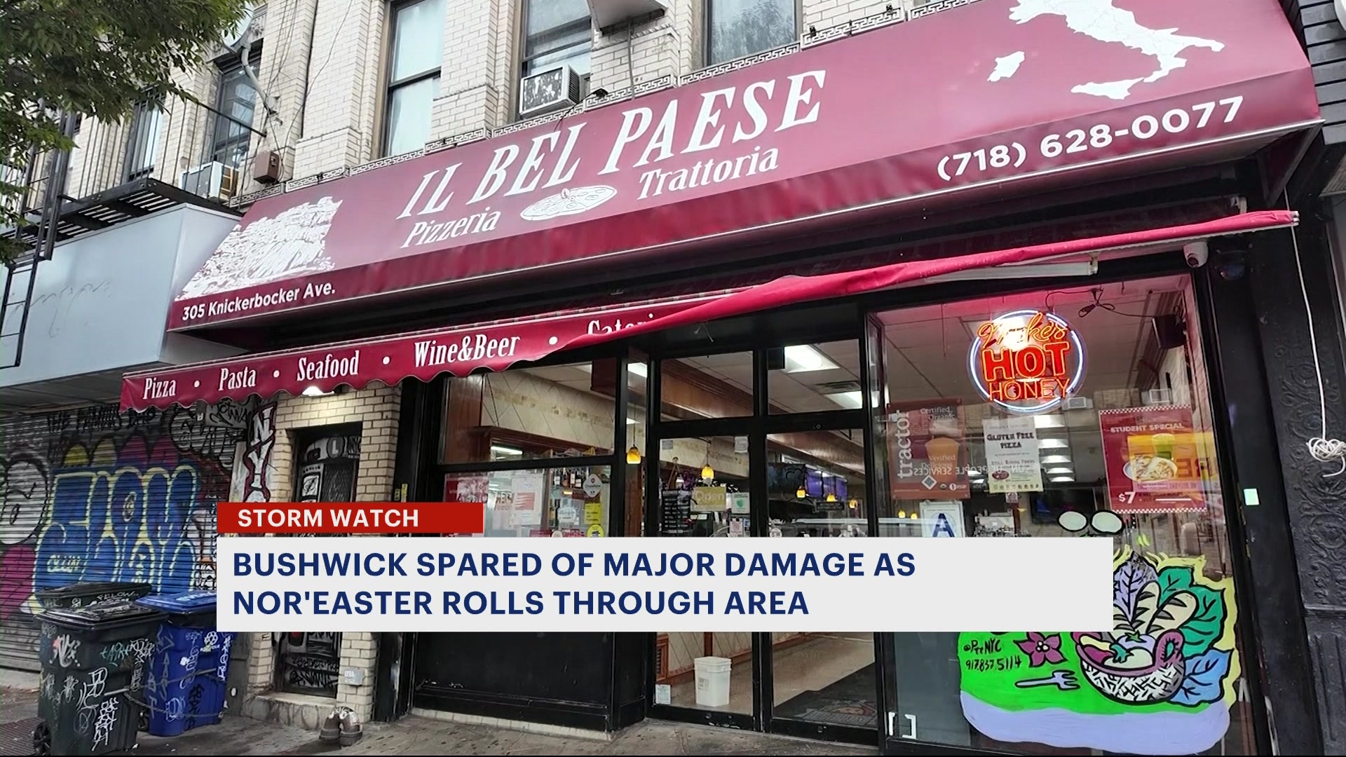 Bushwick spared from major damage as nor'easter rolls through