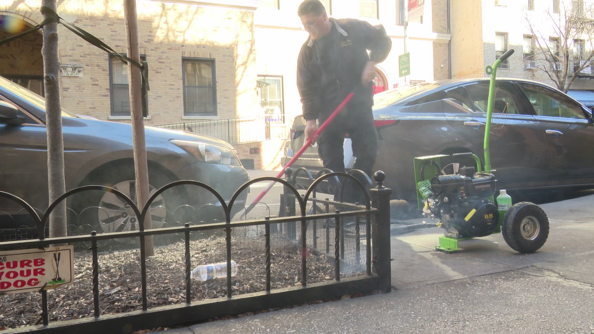 Rats! The Burrow Rx aims to rid city of pesky neighbors