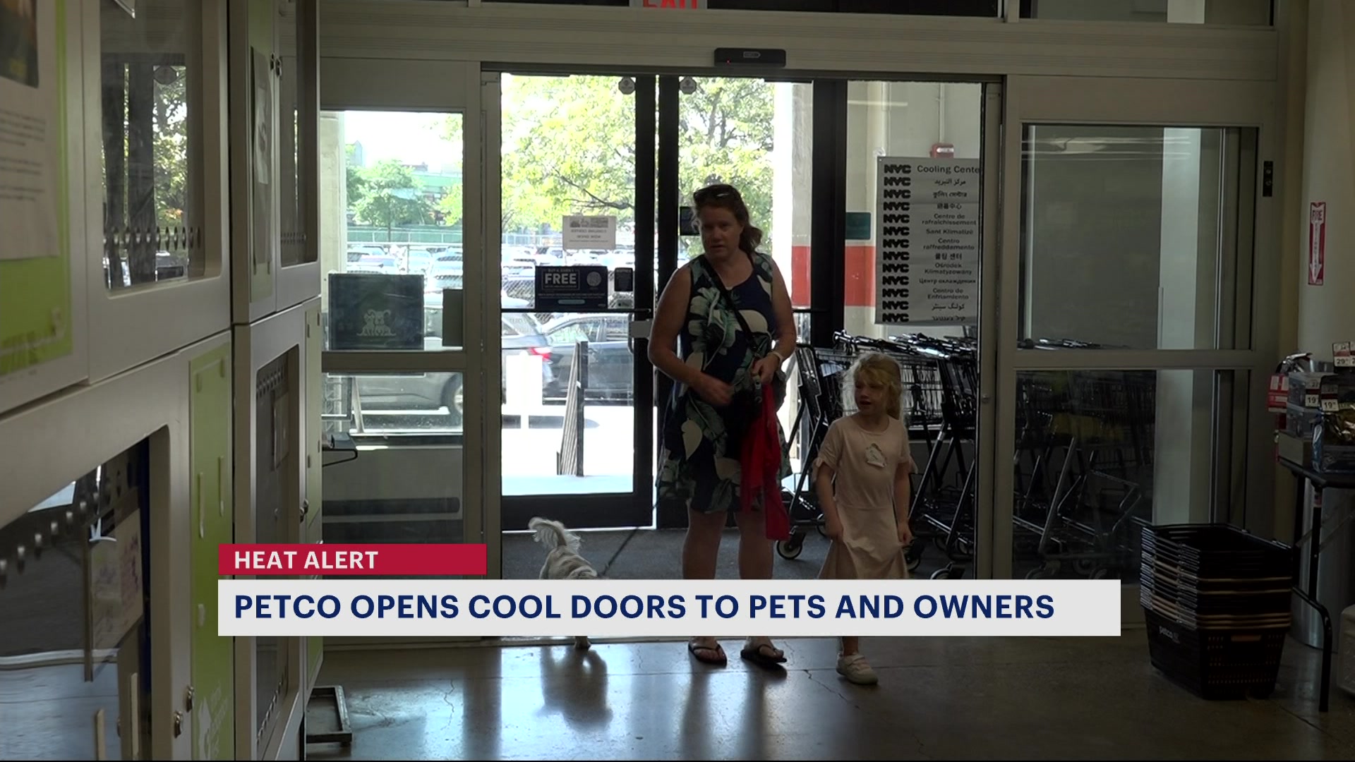 News 12 | The Bronx | Petco locations open cooling centers for pets