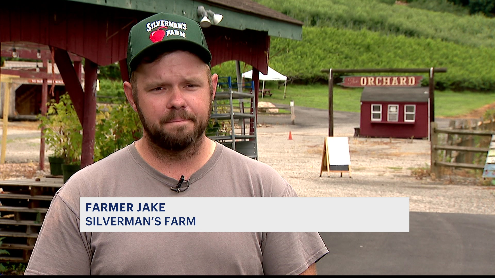 'Enjoy what the season has brought': Silverman's Farm encourages ...