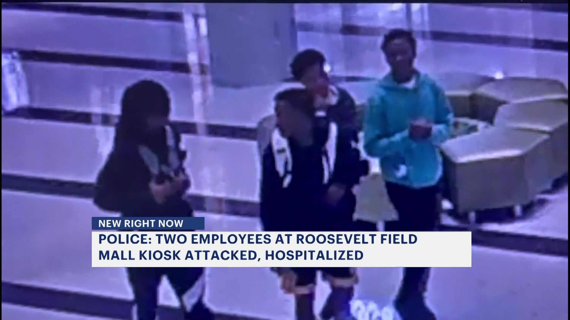 Police: 2 teen workers attacked by 4 men at Roosevelt Field Mall