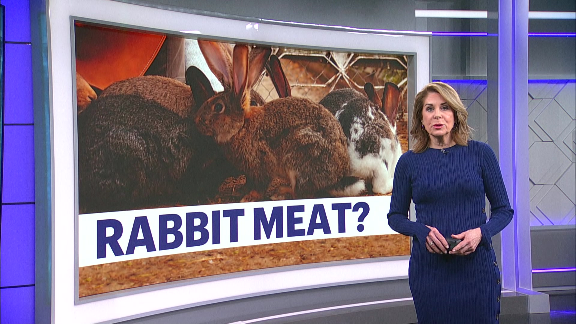 Connecticut lawmakers advance plan to allow harvesting rabbits for food