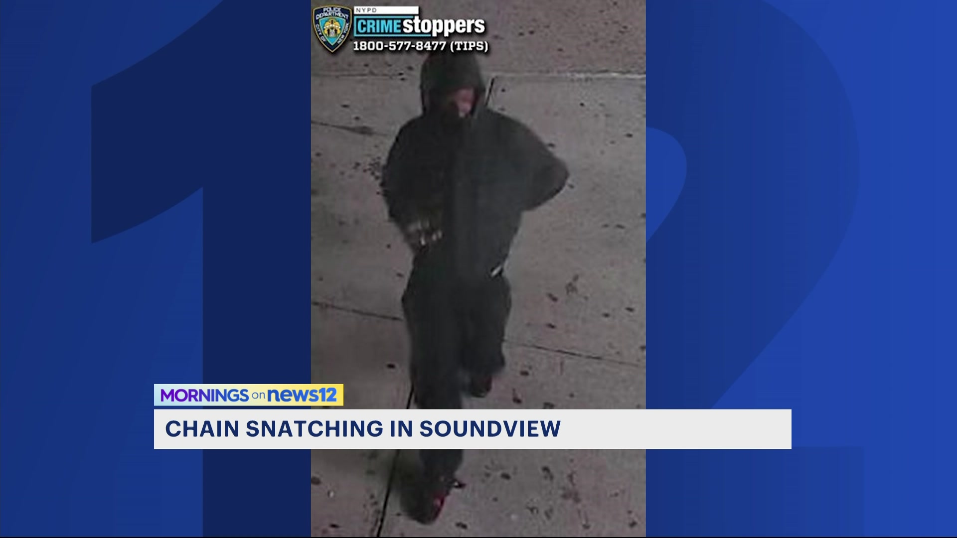 NYPD: Thief wanted for snatching gold chain off man’s neck in Soundview