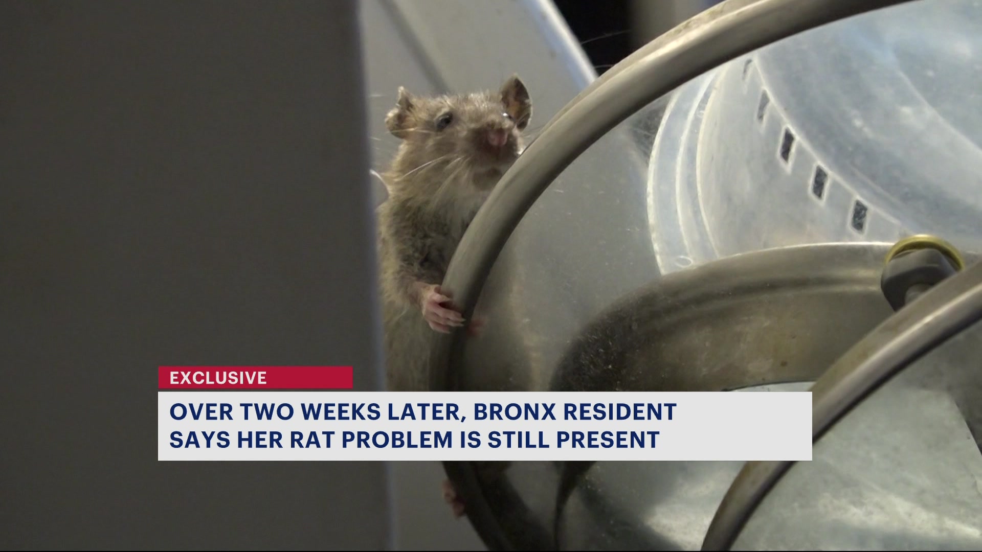 Exclusive: Bronx resident says no improvements have been made since ...