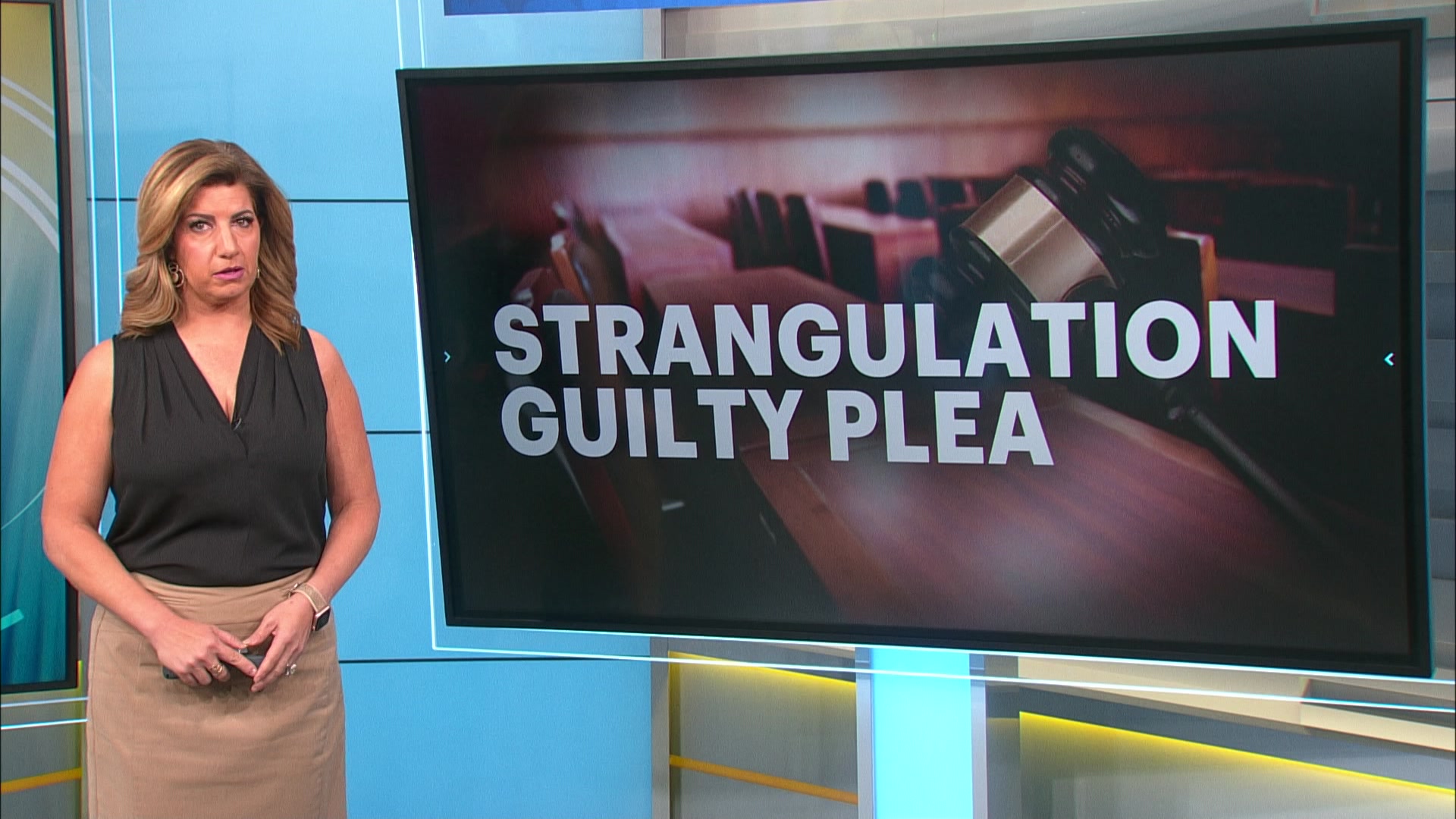 News 12 | Westchester | Kingston Man Faces Lengthy Prison Term For ...