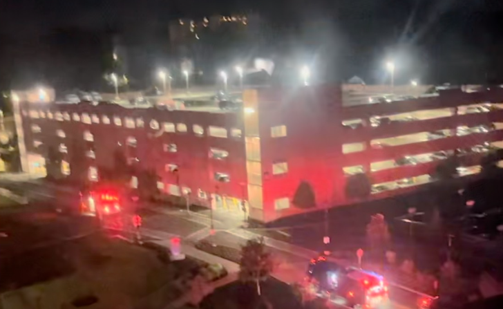 News 12 | Westchester | You Could Hear Them Screaming Visitors Say ...