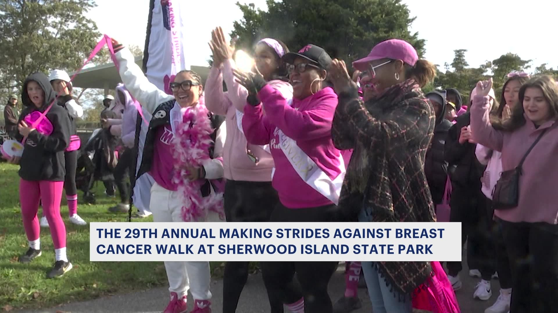 'You can get through it.' Making Strides walk in Westport raises fund ...