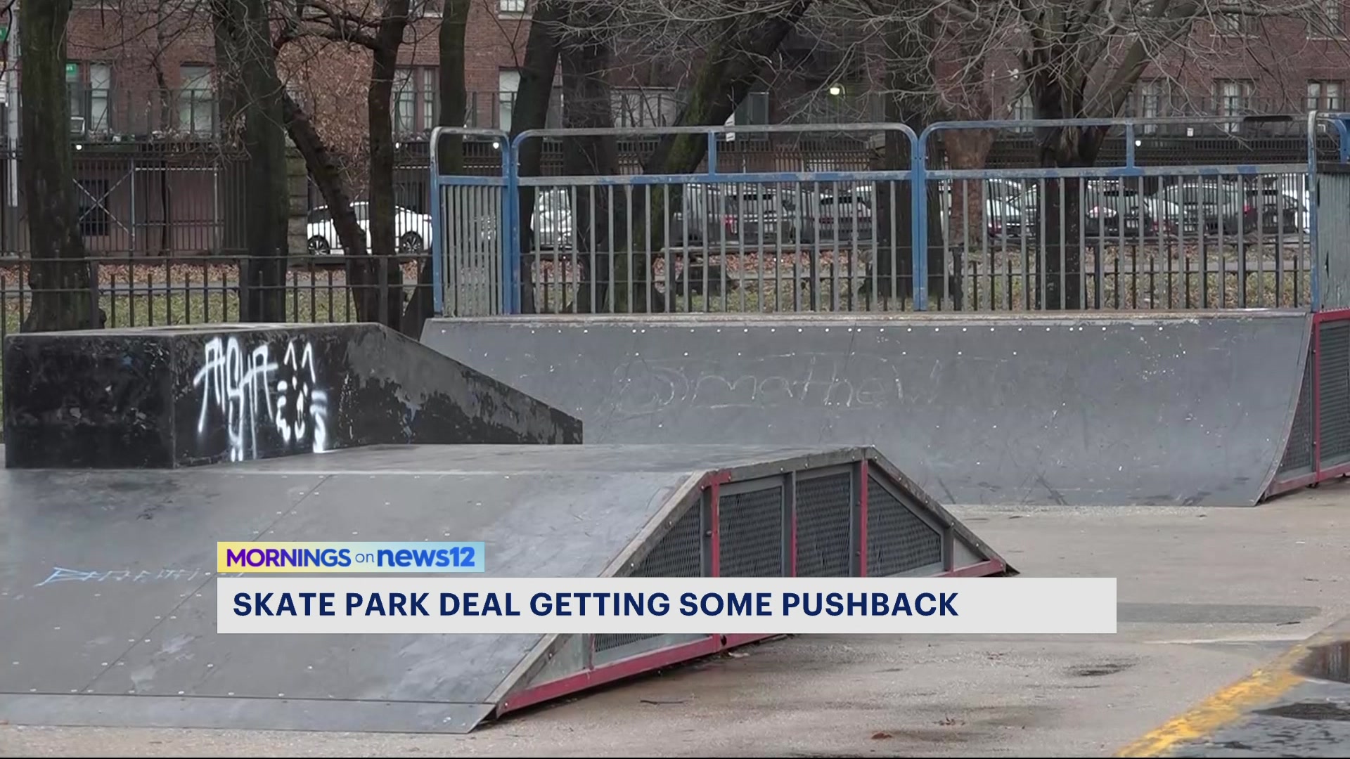 Brooklyn's Tony Hawk skate park deal gets pushback from Mount Prospect Park