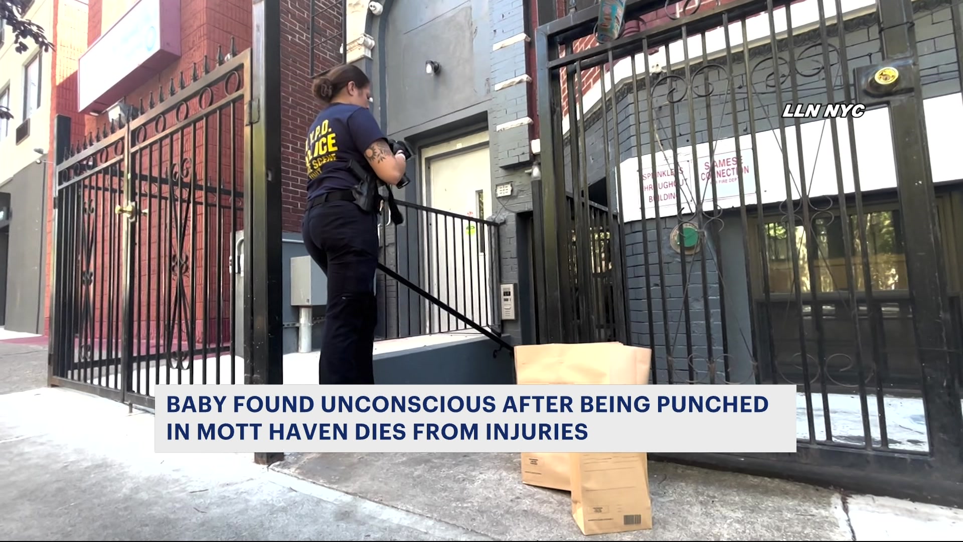 News 12 | Connecticut | 1 Year Old Baby Girl Punched In Face And Head ...