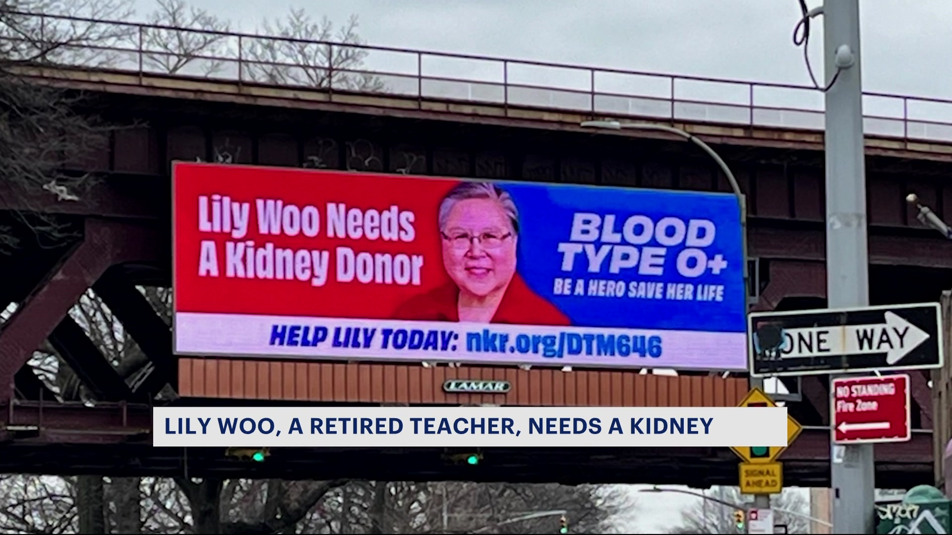 News 12 | Bronx | Woman Searching For Kidney Donors By Posting ...