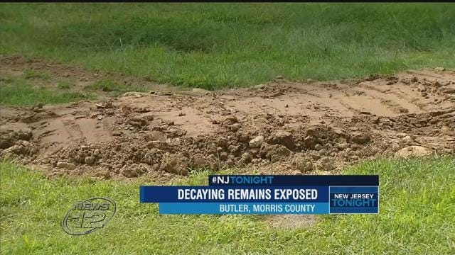 Family horrified by decomposing foot during loved one’s burial