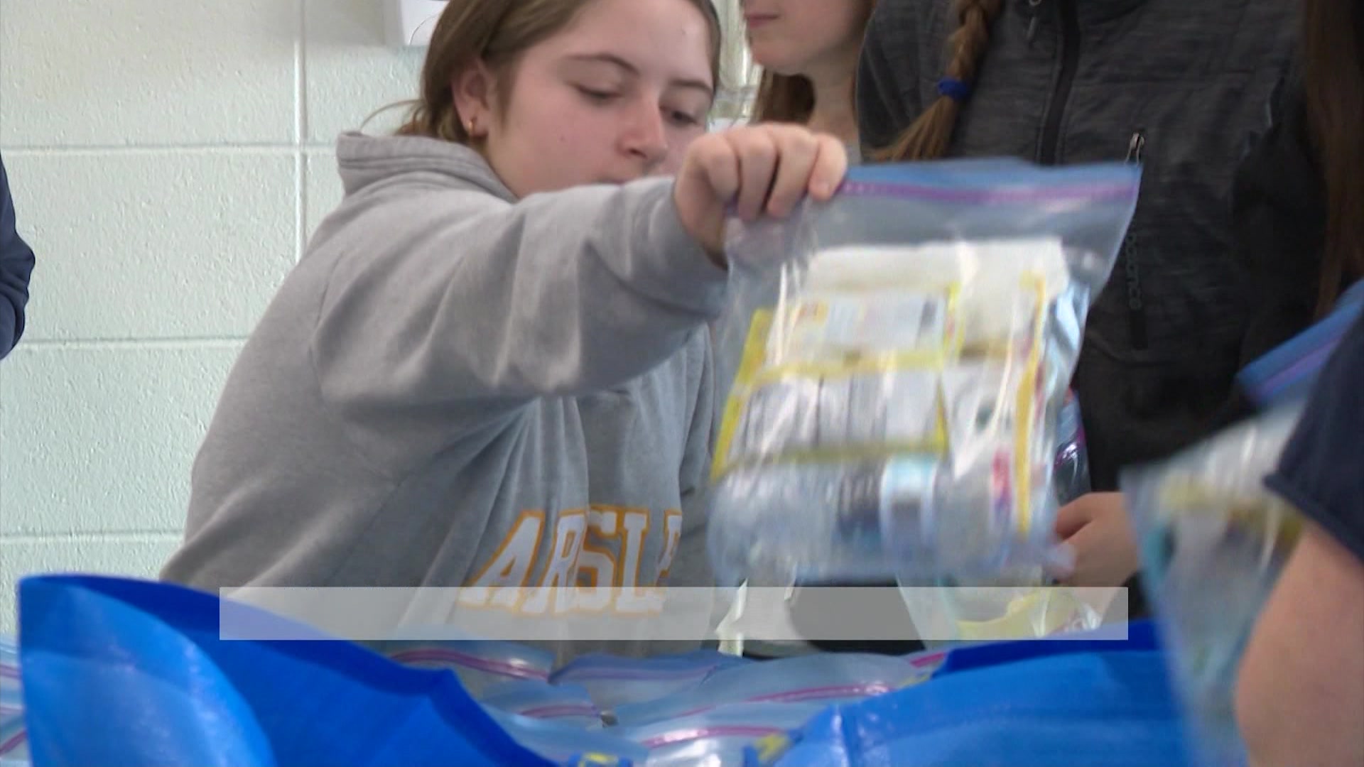 News 12 | Hudson Valley | Hundreds of volunteers shine at 16th Ardsley ...