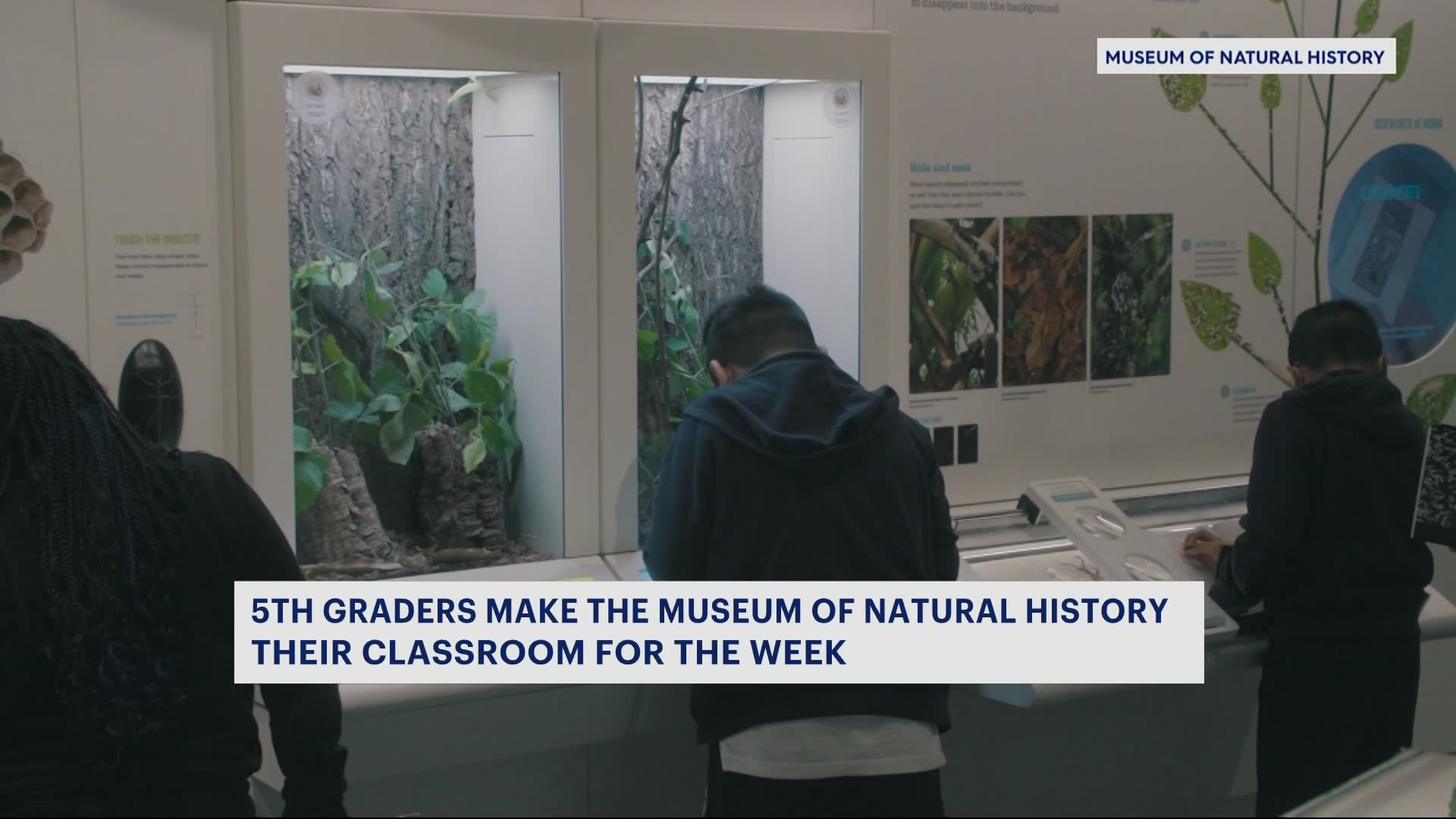Fifth-graders make American Museum of Natural History their classroom ...