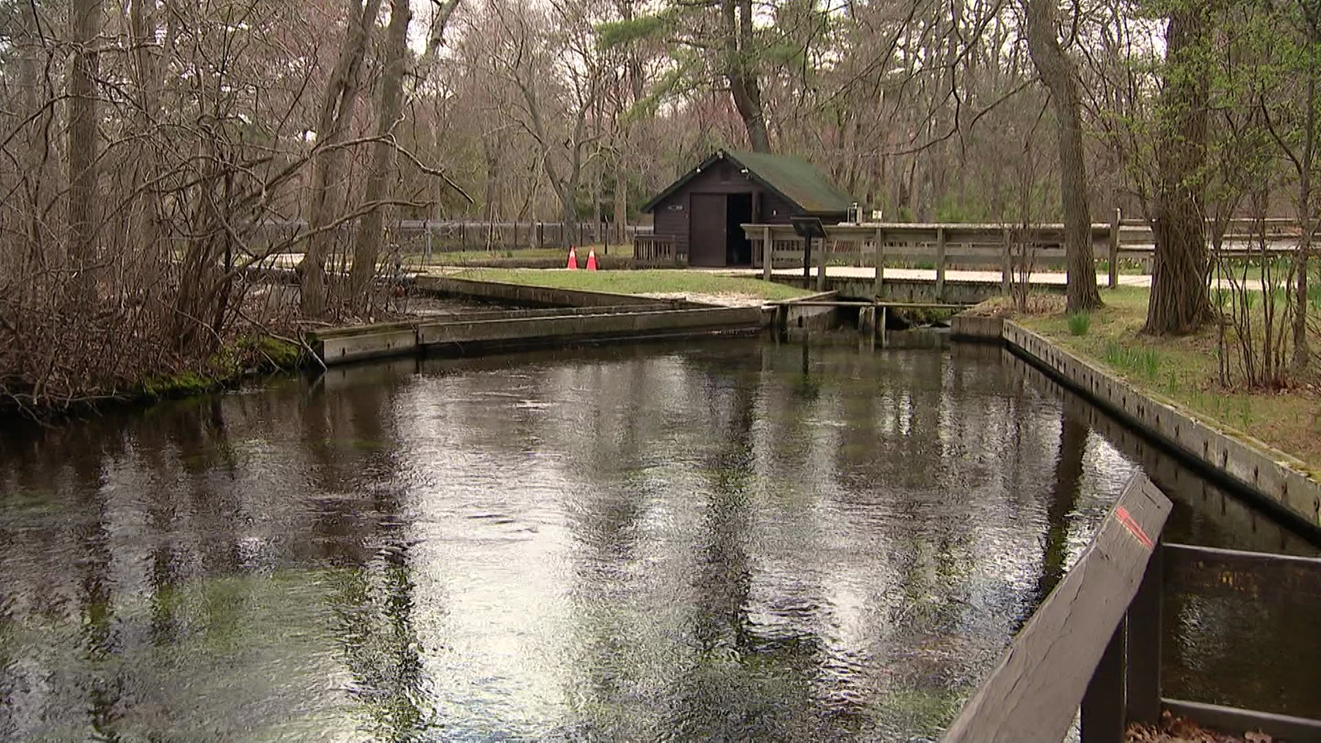Spend a day away exploring the Connetquot River State Park Preserve
