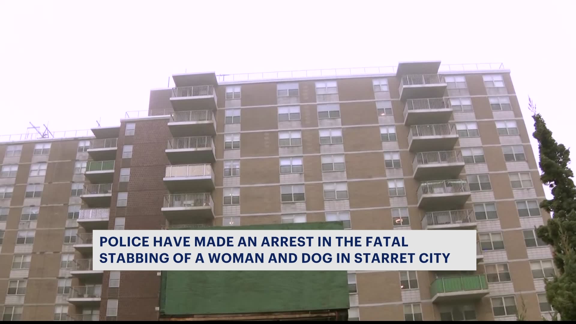 Authorities: 36-year-old man charged with murder in Starrett City stabbing